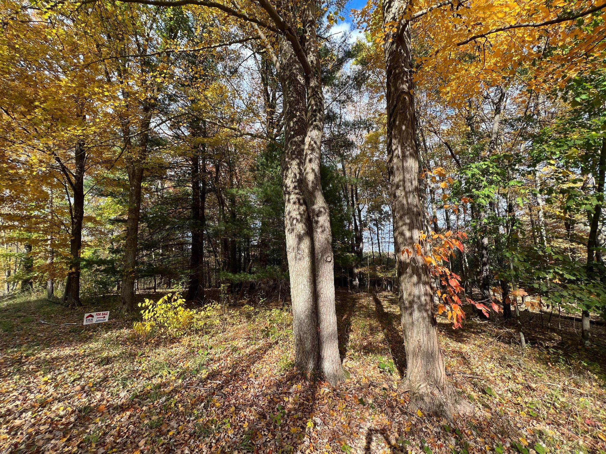 0 Buckley Rd., Mercer, PA 16137 | MLS: 1580717 | Land.com