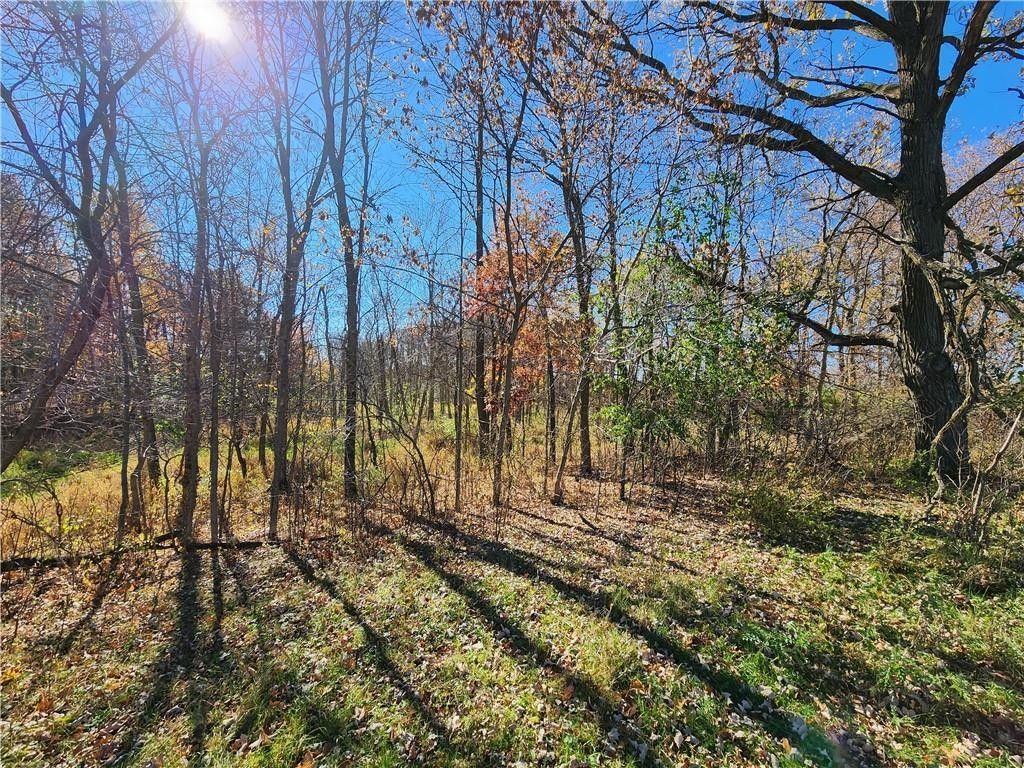 46 acres in Polk County, Wisconsin