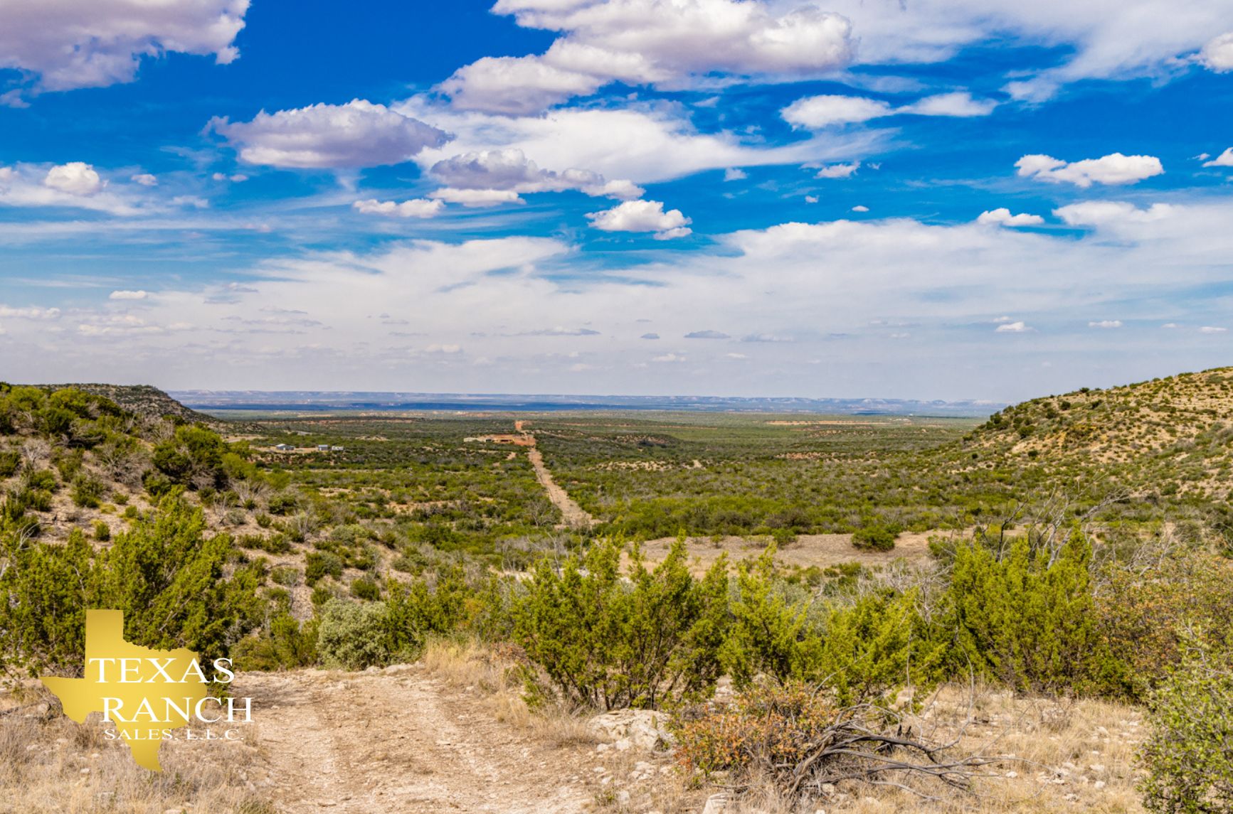 161 acres in Coke County, Texas