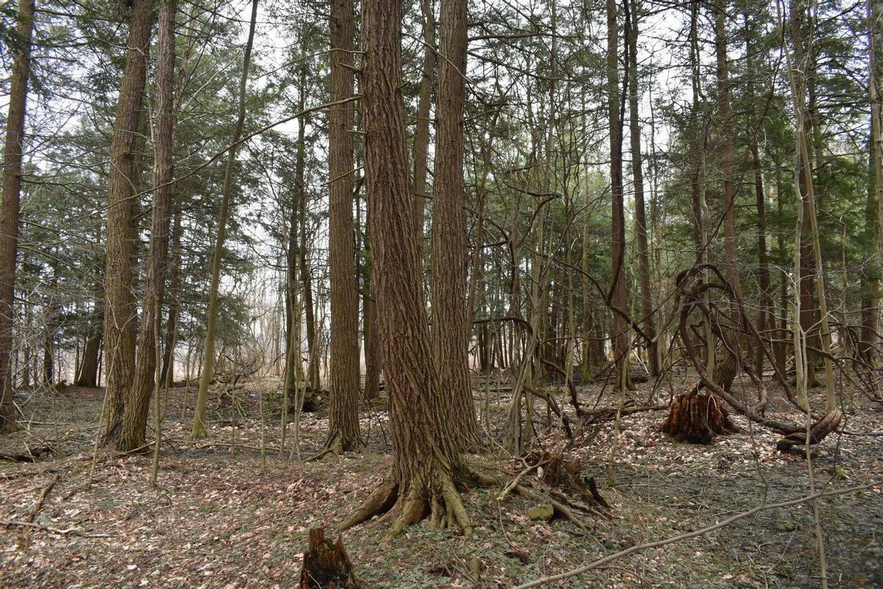 117 acres in Chautauqua County, New York