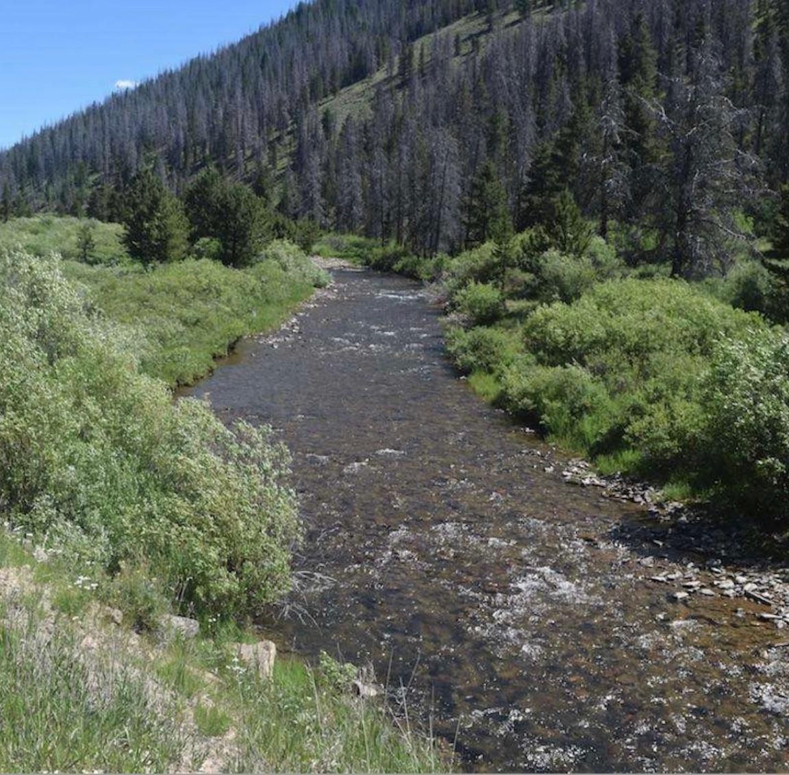 20 acres in Rand, CO, 80473 | Land.com