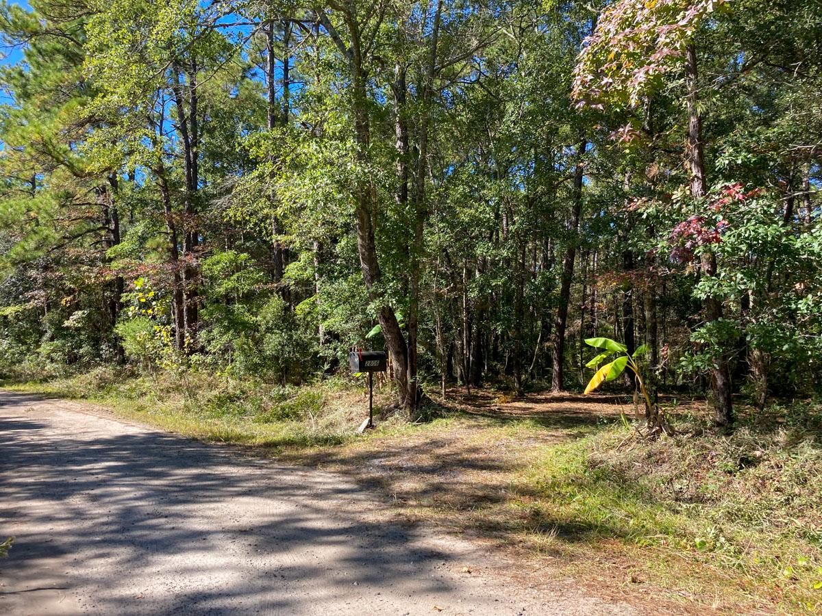 2806 Evans Way, Johns Island, SC 29455 | MLS: 23000540 | Land.com