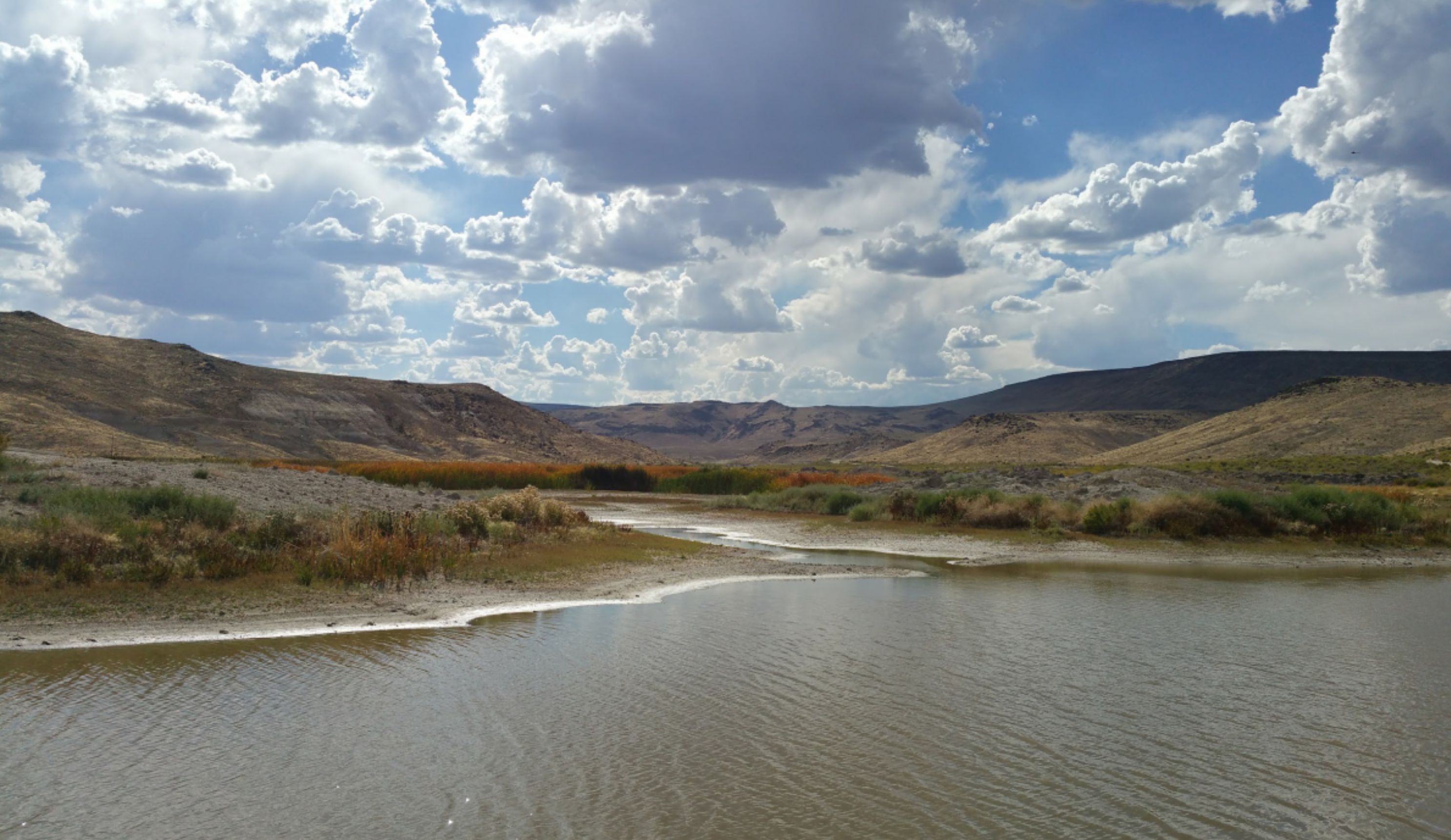 40 acres in Washoe County, Nevada