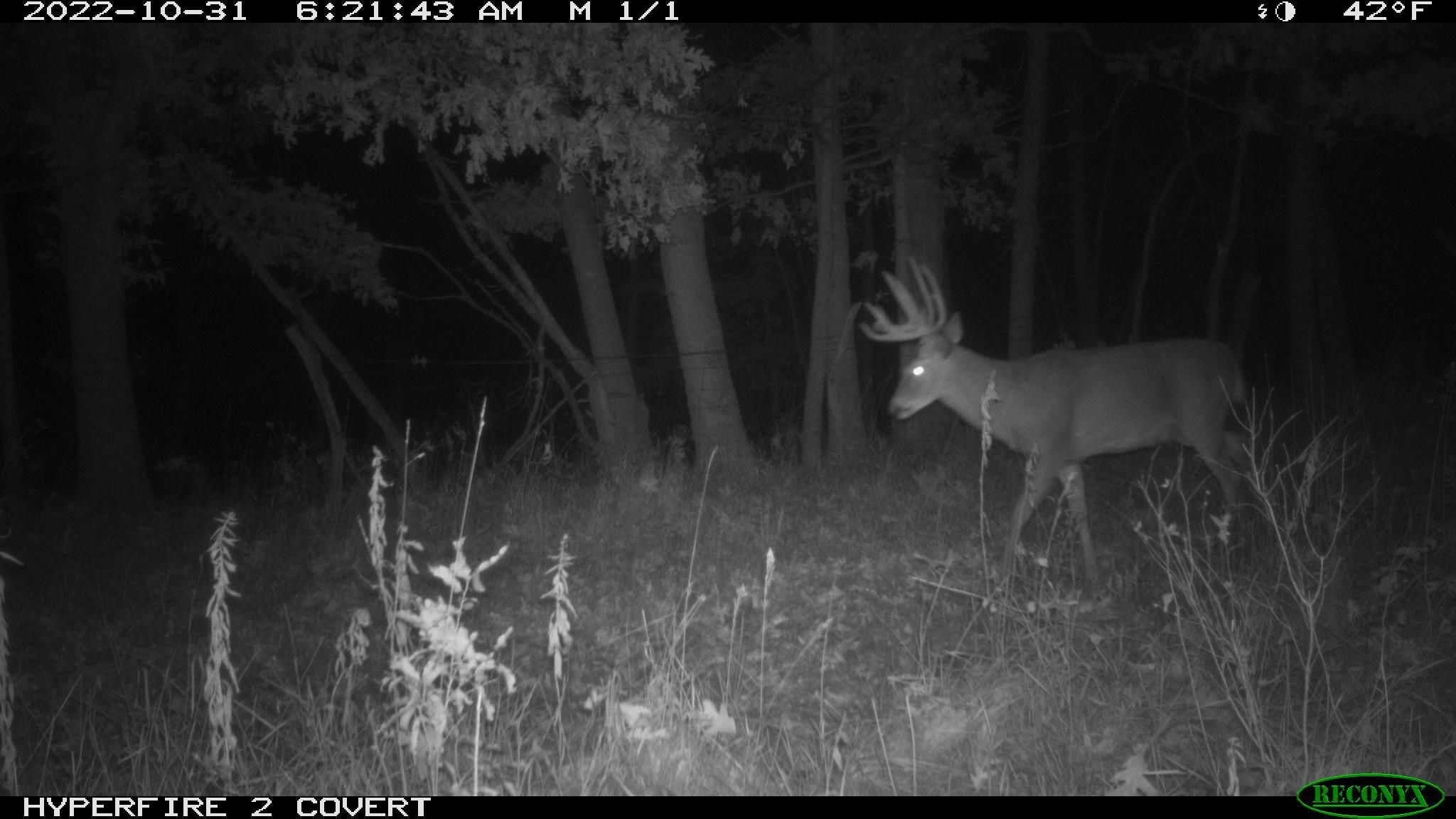 132 acres in Appanoose County, Iowa