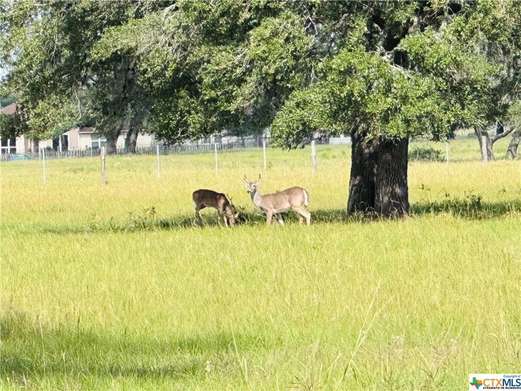 20 acres in Lavaca County, Texas