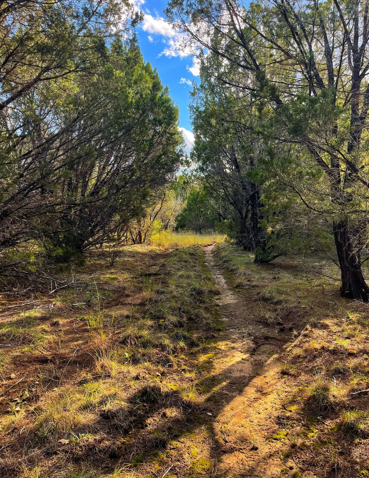 FM 1238 - Iredell, TX, Iredell, TX 76649 | Land.com