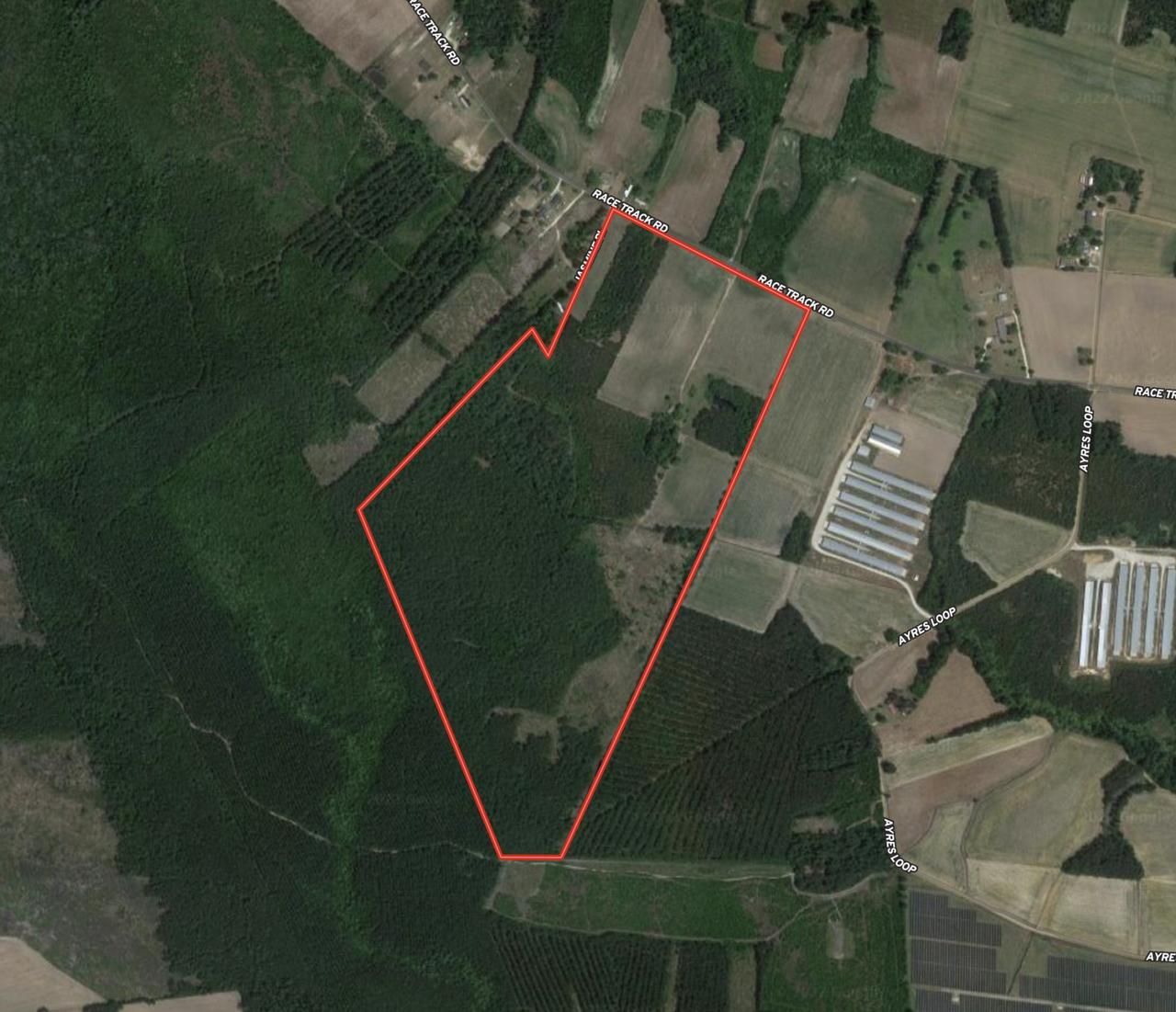 125 acres in Dillon County, South Carolina