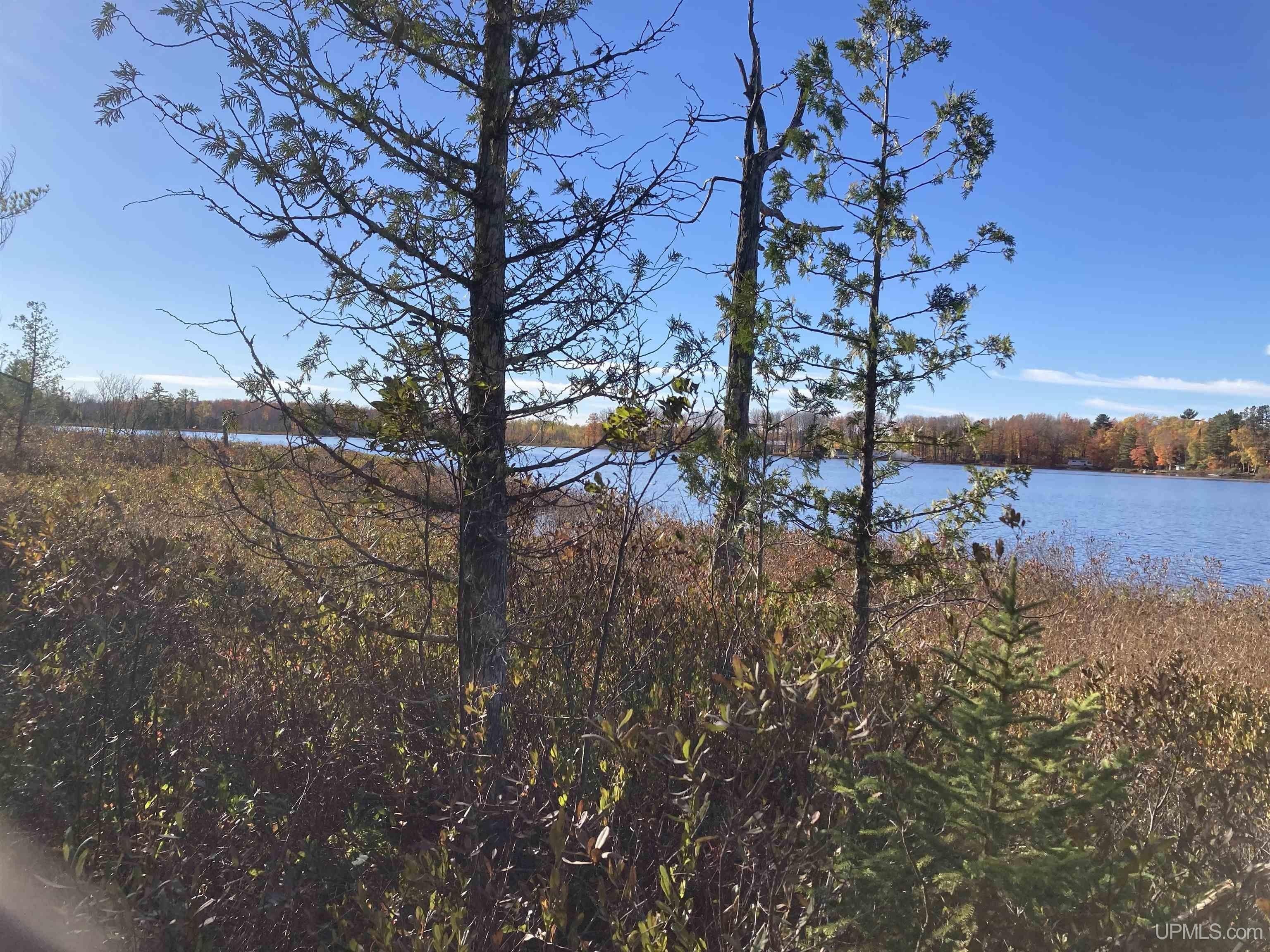 160 Acres In Alger County Michigan