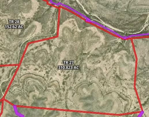 310.82 acres in Terrell County, Texas