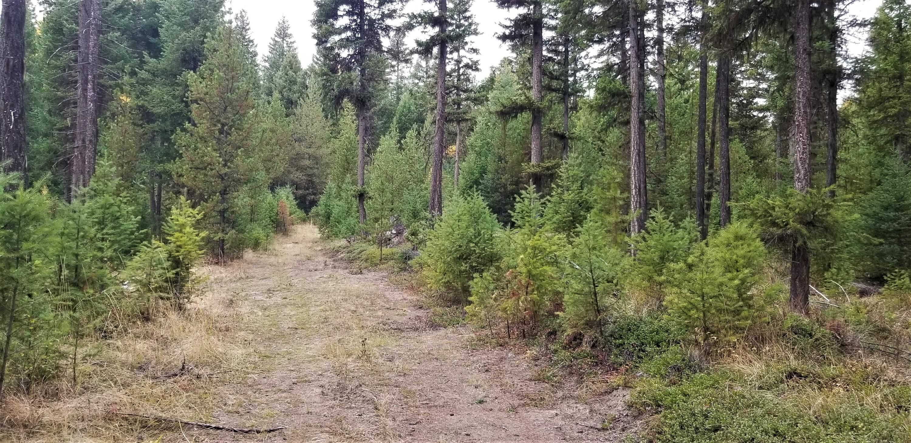 24.56 acres in Ferry County, Washington