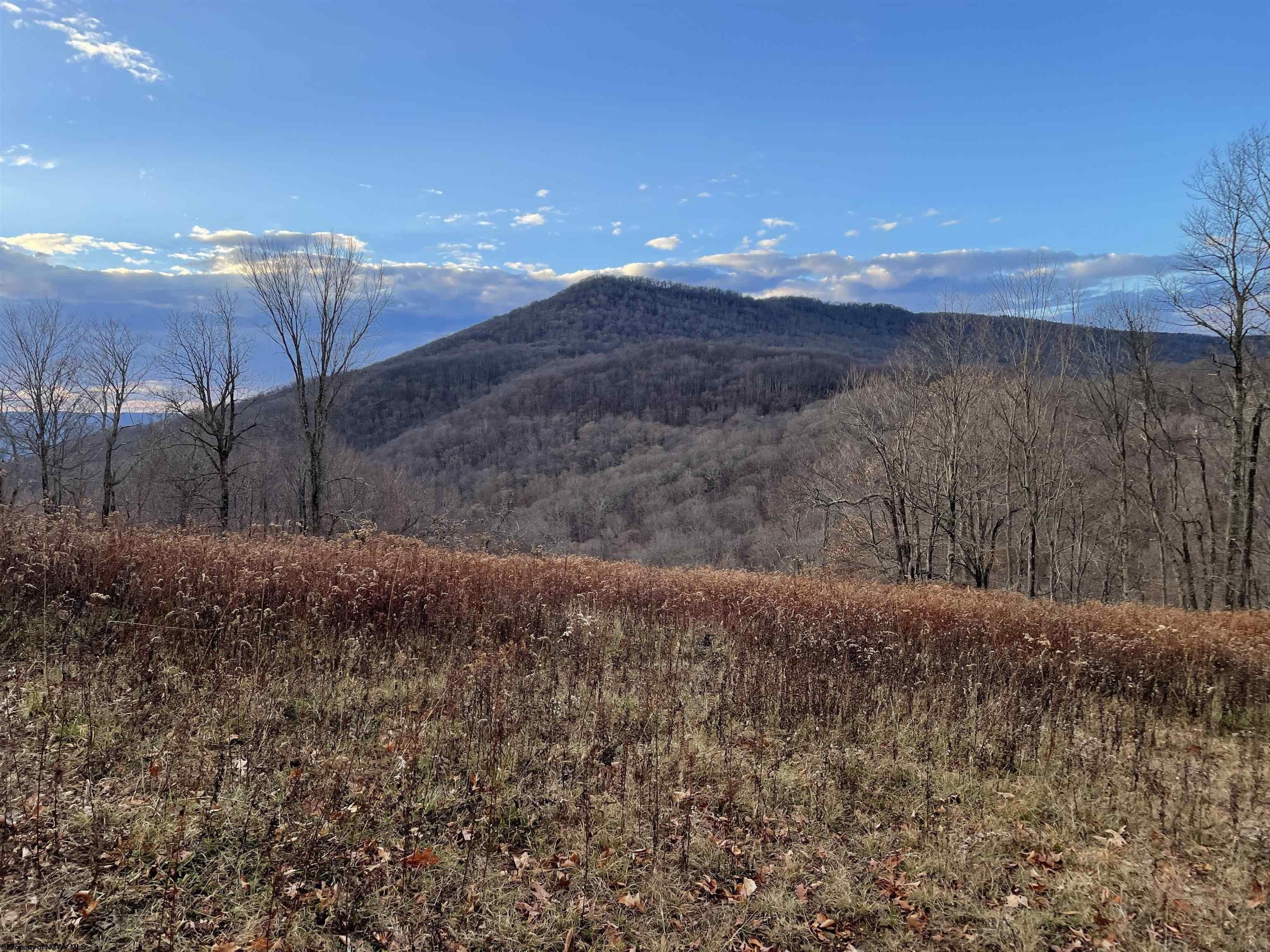 13 acres in Tucker County, West Virginia