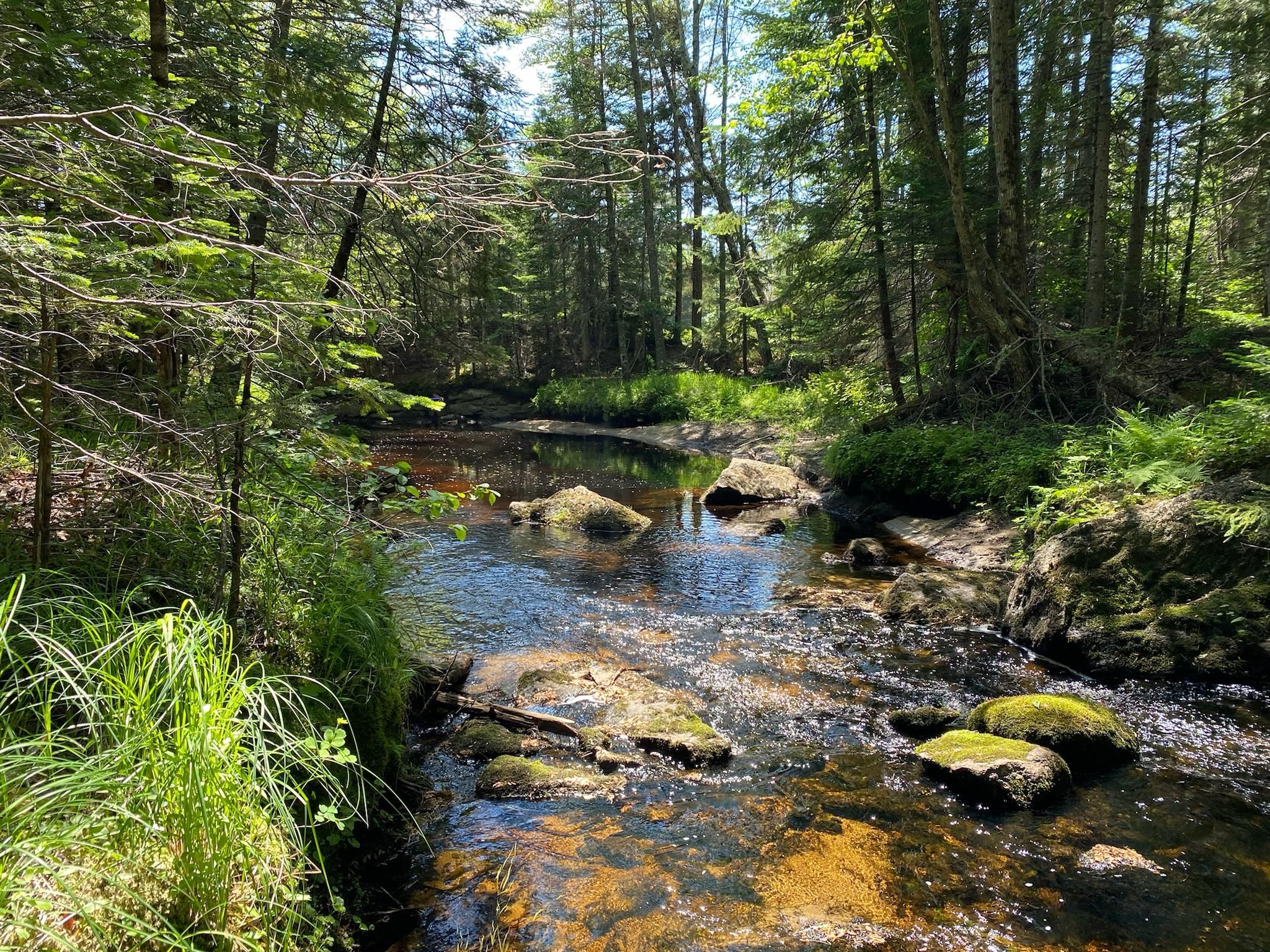 24 acres in Oxford County, Maine