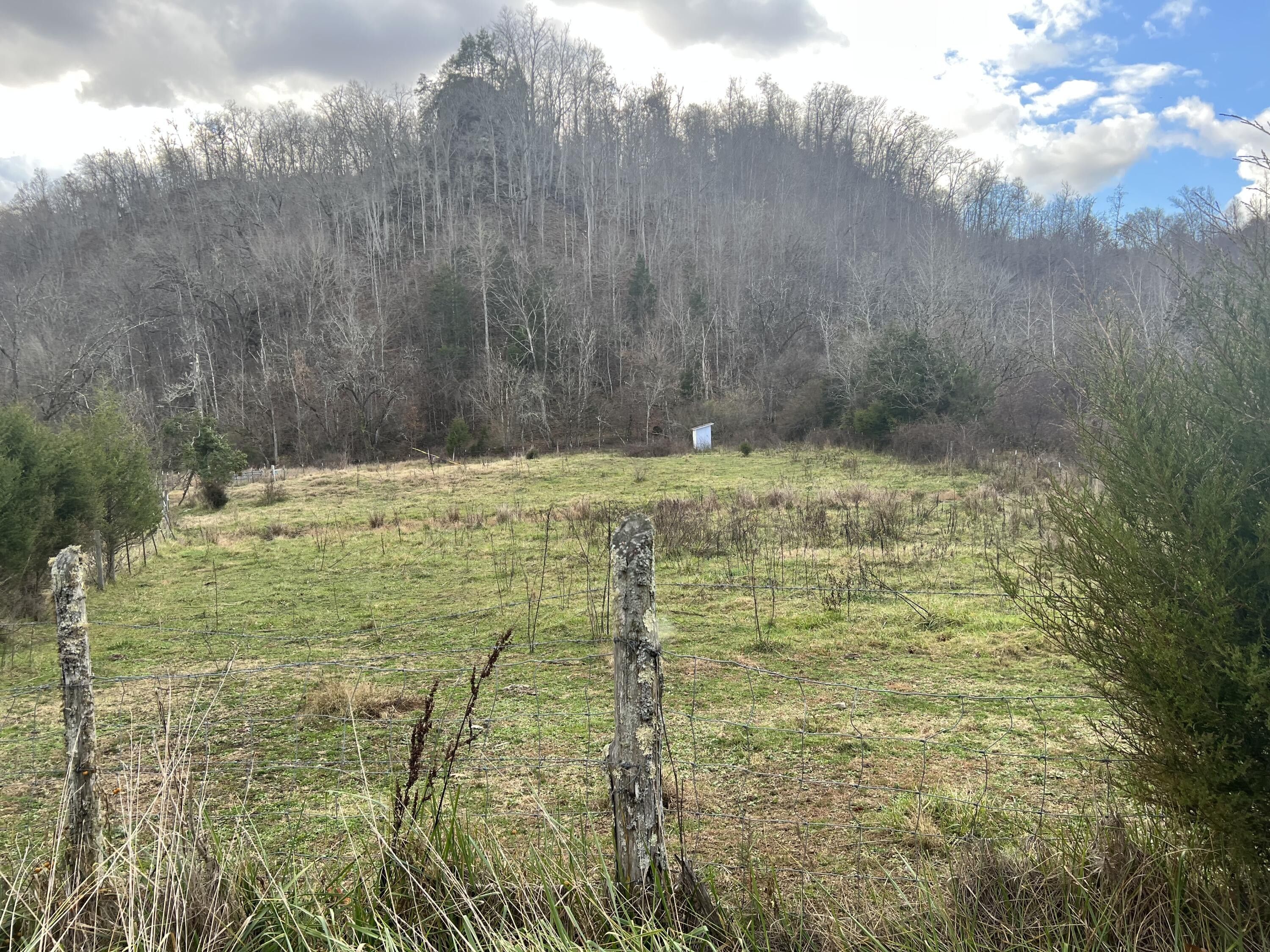 116 acres in Scott County, Virginia