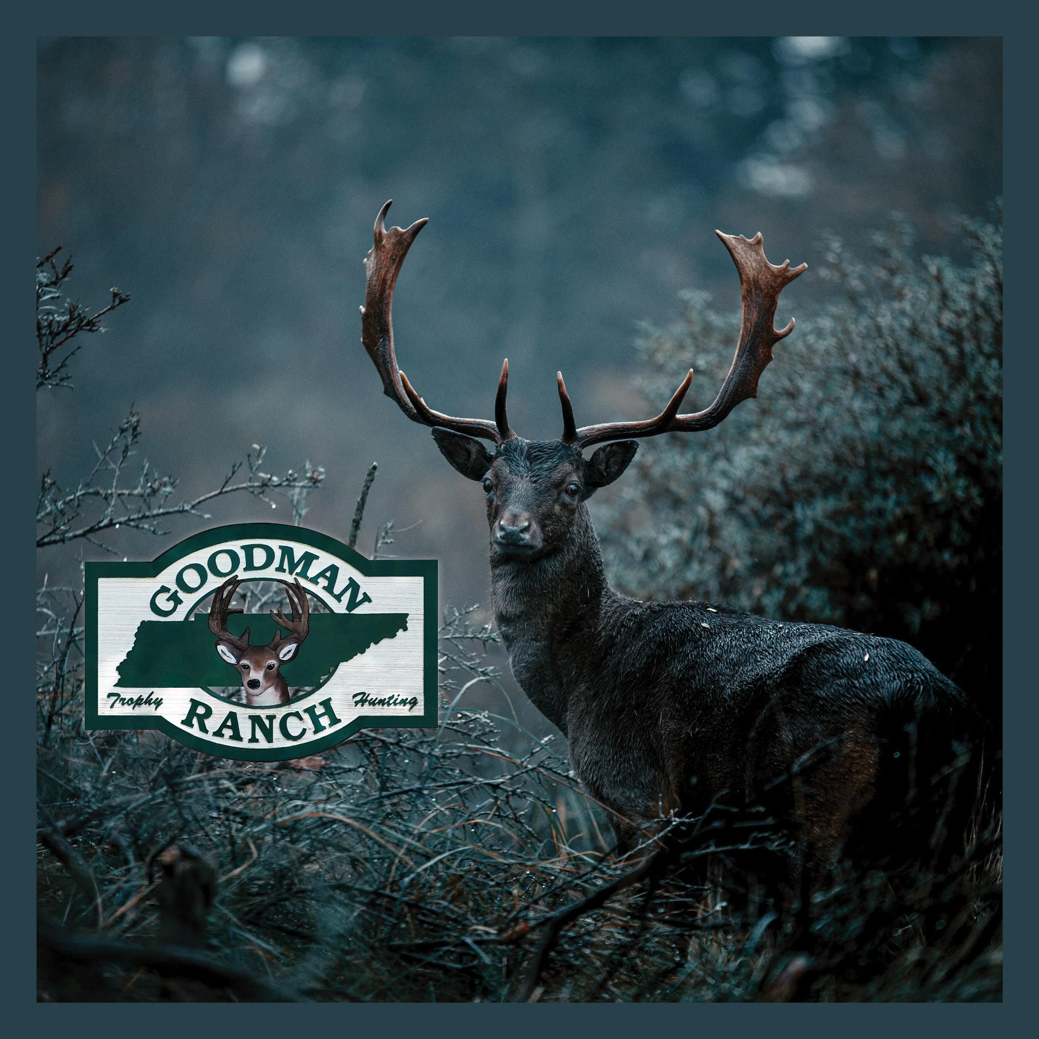 770 Proctor Road, Henderson, TN 38340 | Land.com