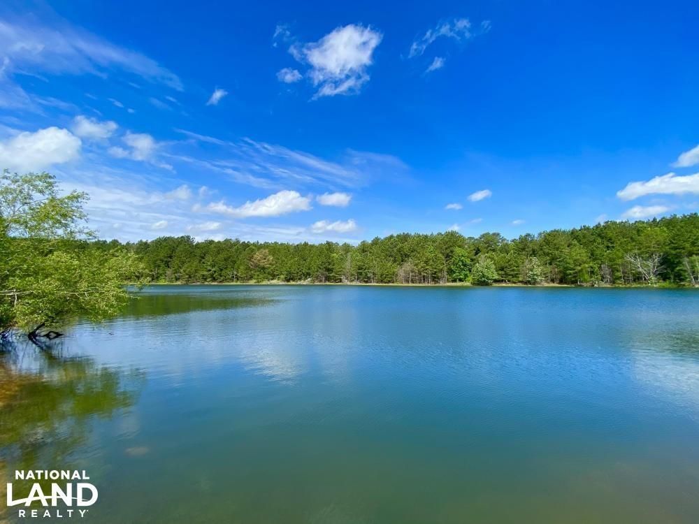 0 Turners Riverfront Road, Aliceville, AL 35442 | Land.com