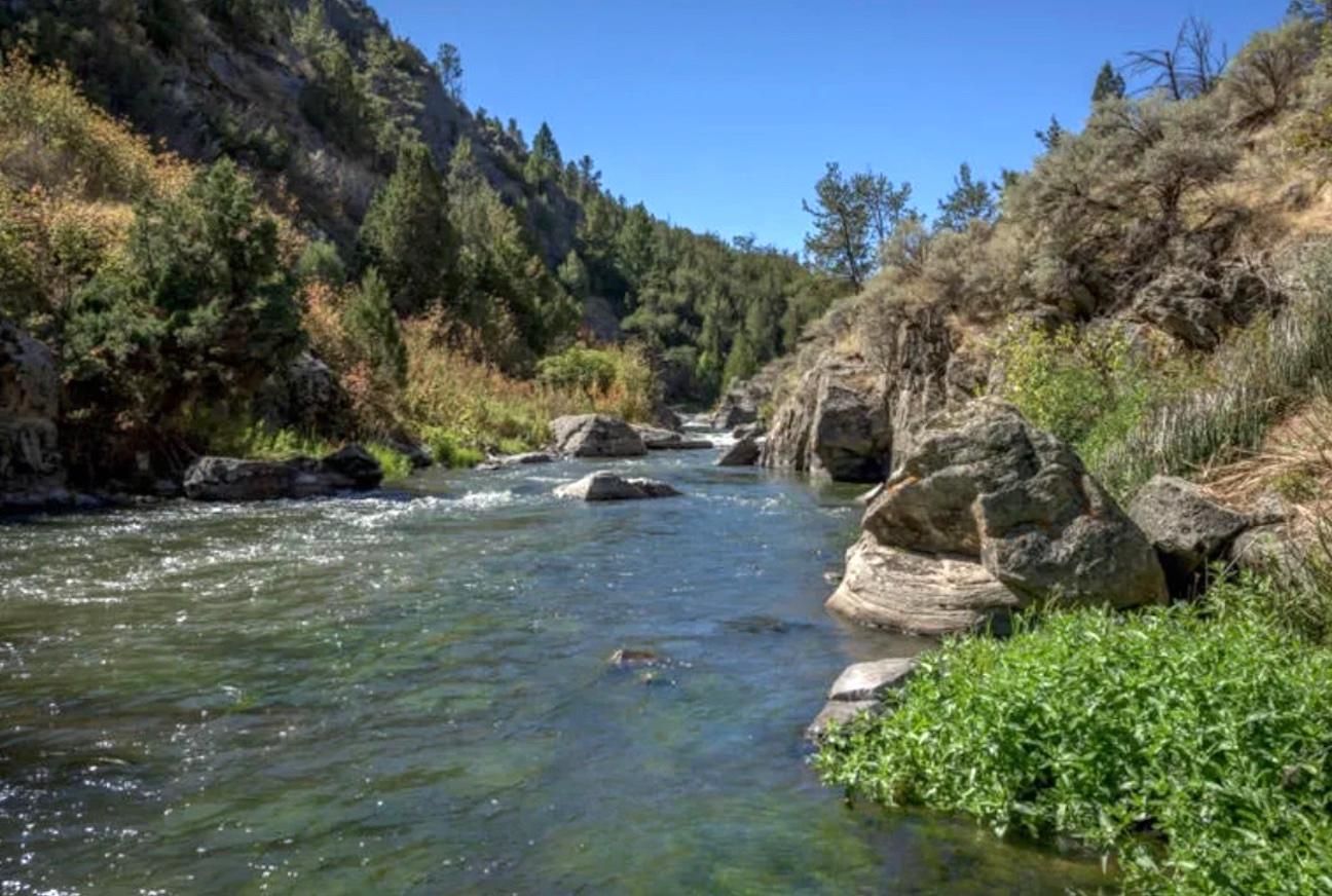 20 acres in Madison County, Montana