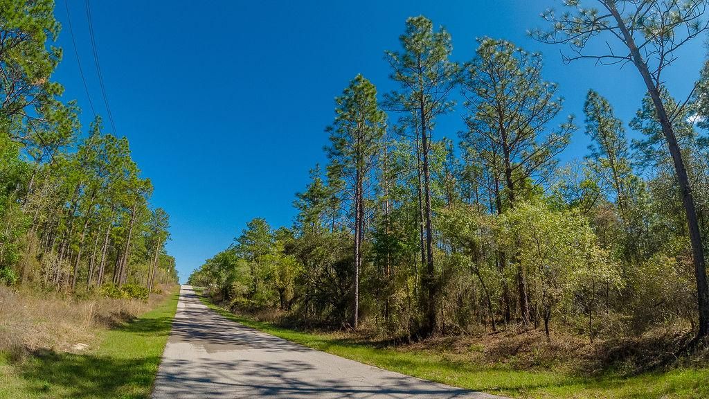 0.32 acres in Marion County, Florida
