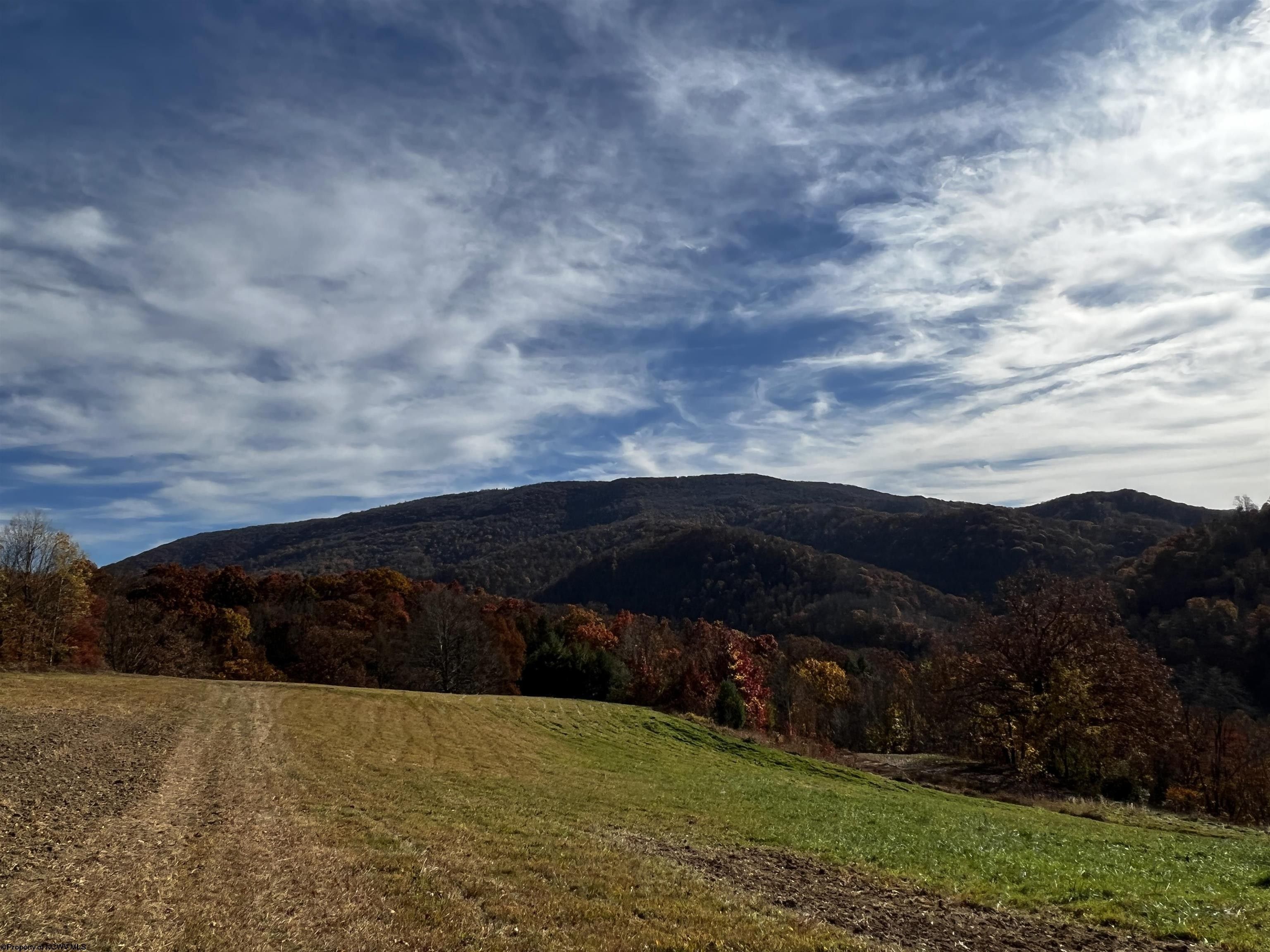 18.94 acres in Tucker County, West Virginia
