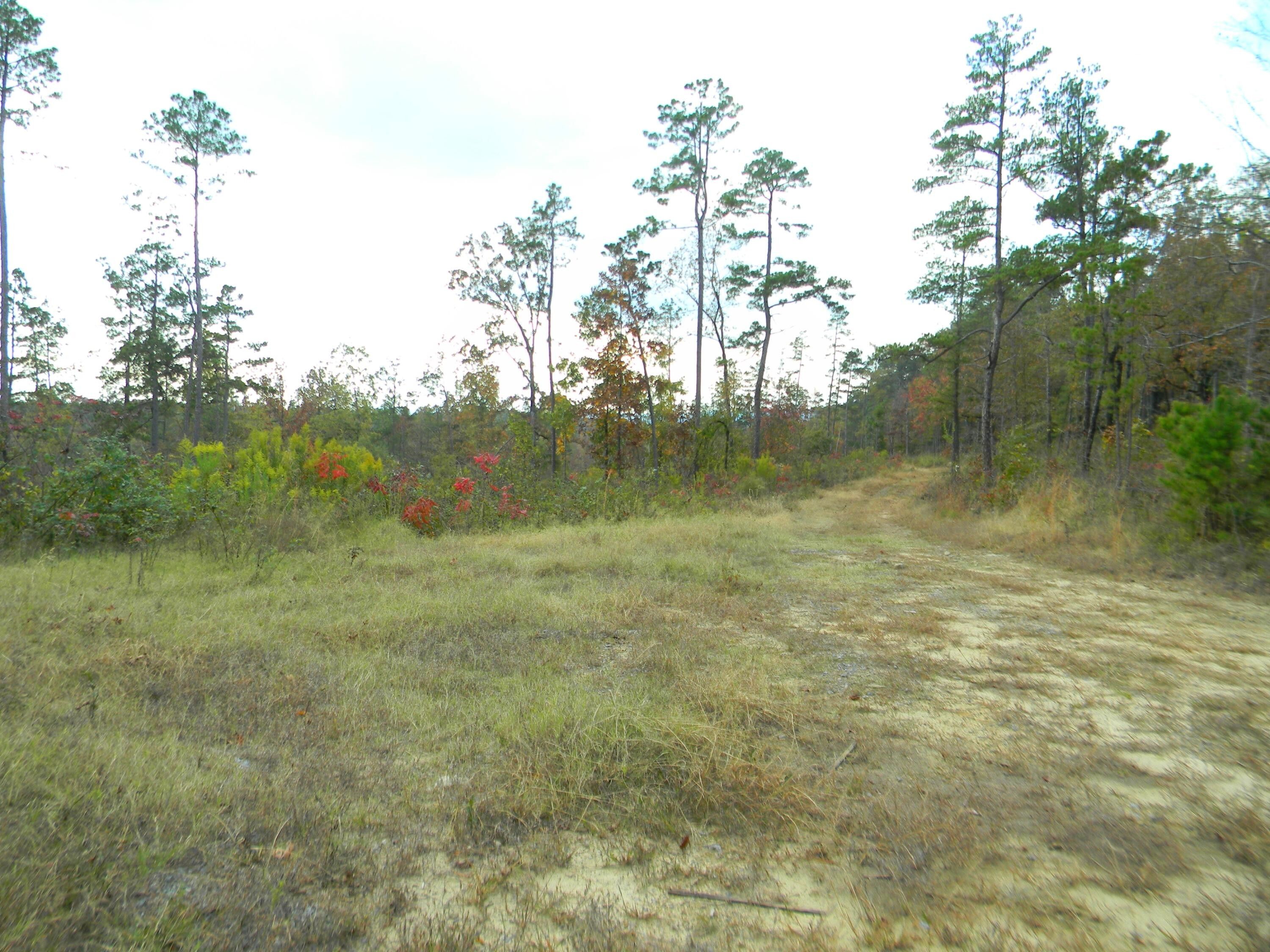 113 acres in Yell County, Arkansas