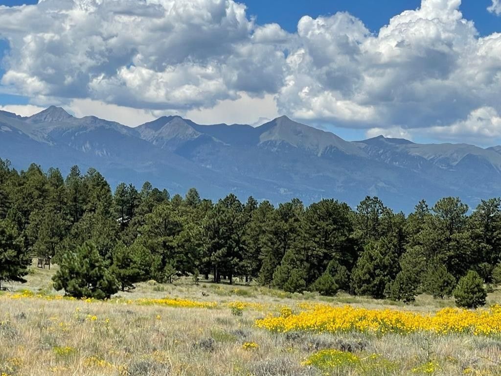 5.49 acres in Custer County, Colorado