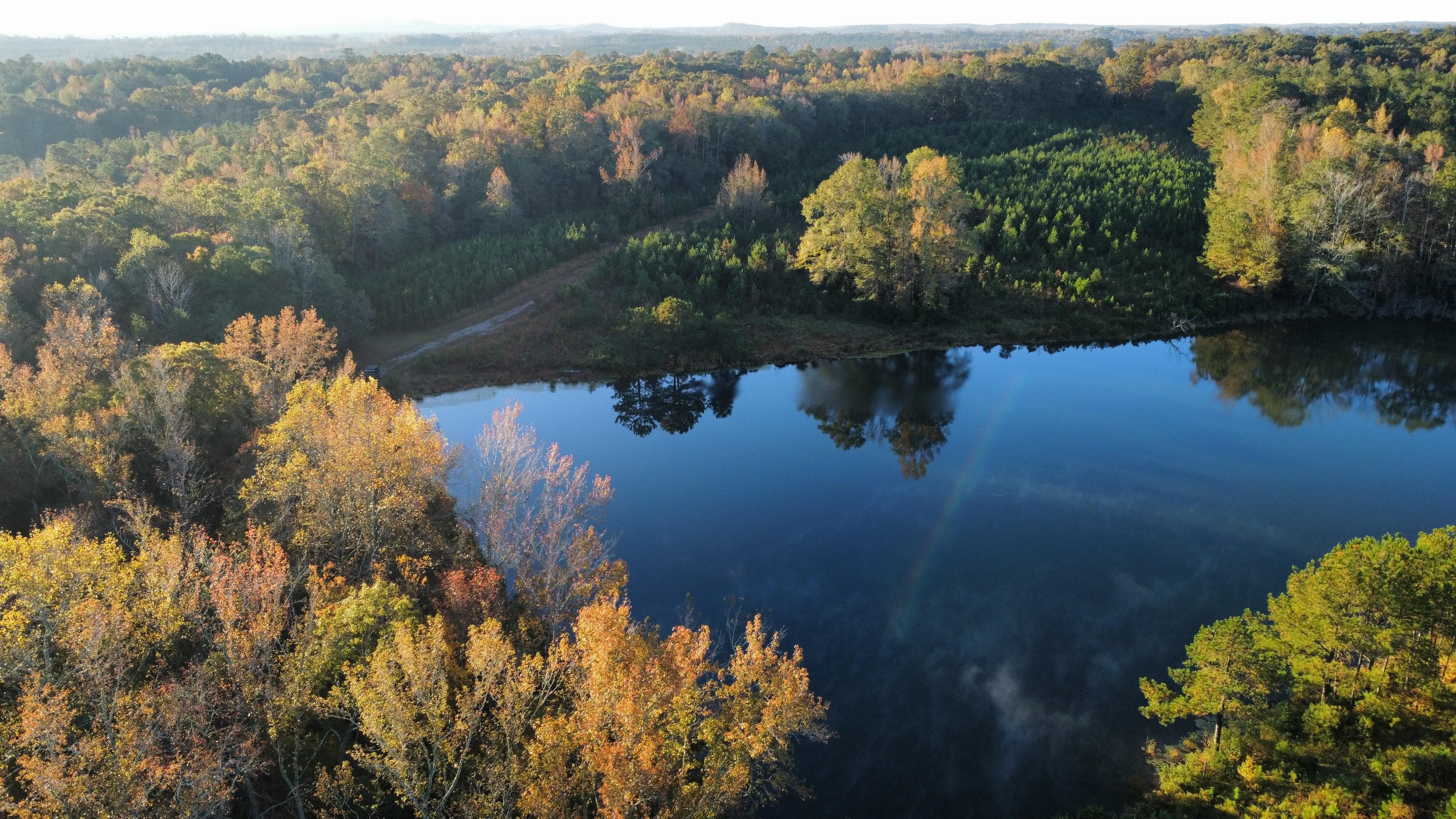 130 acres in Lee County, Alabama