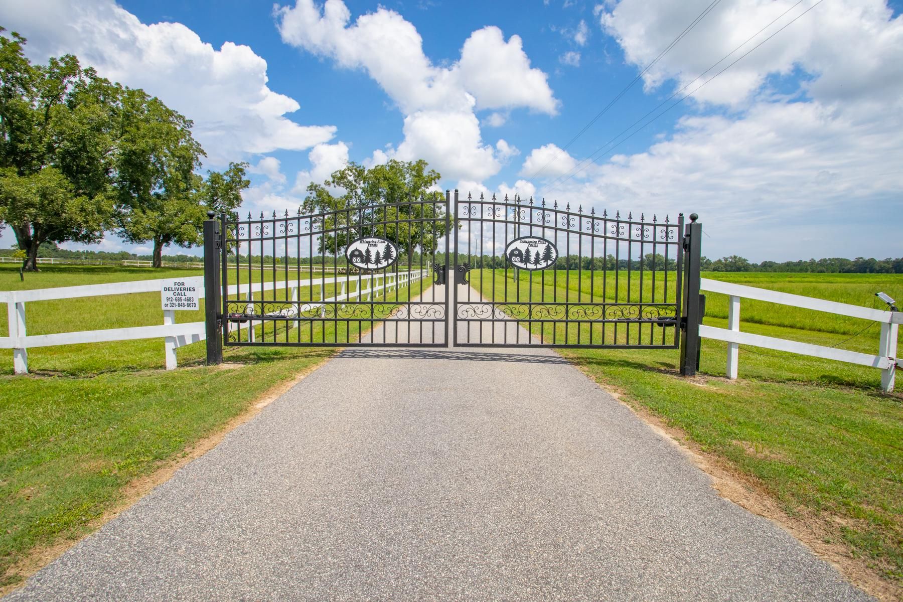 222.6 acres in Candler County, Georgia