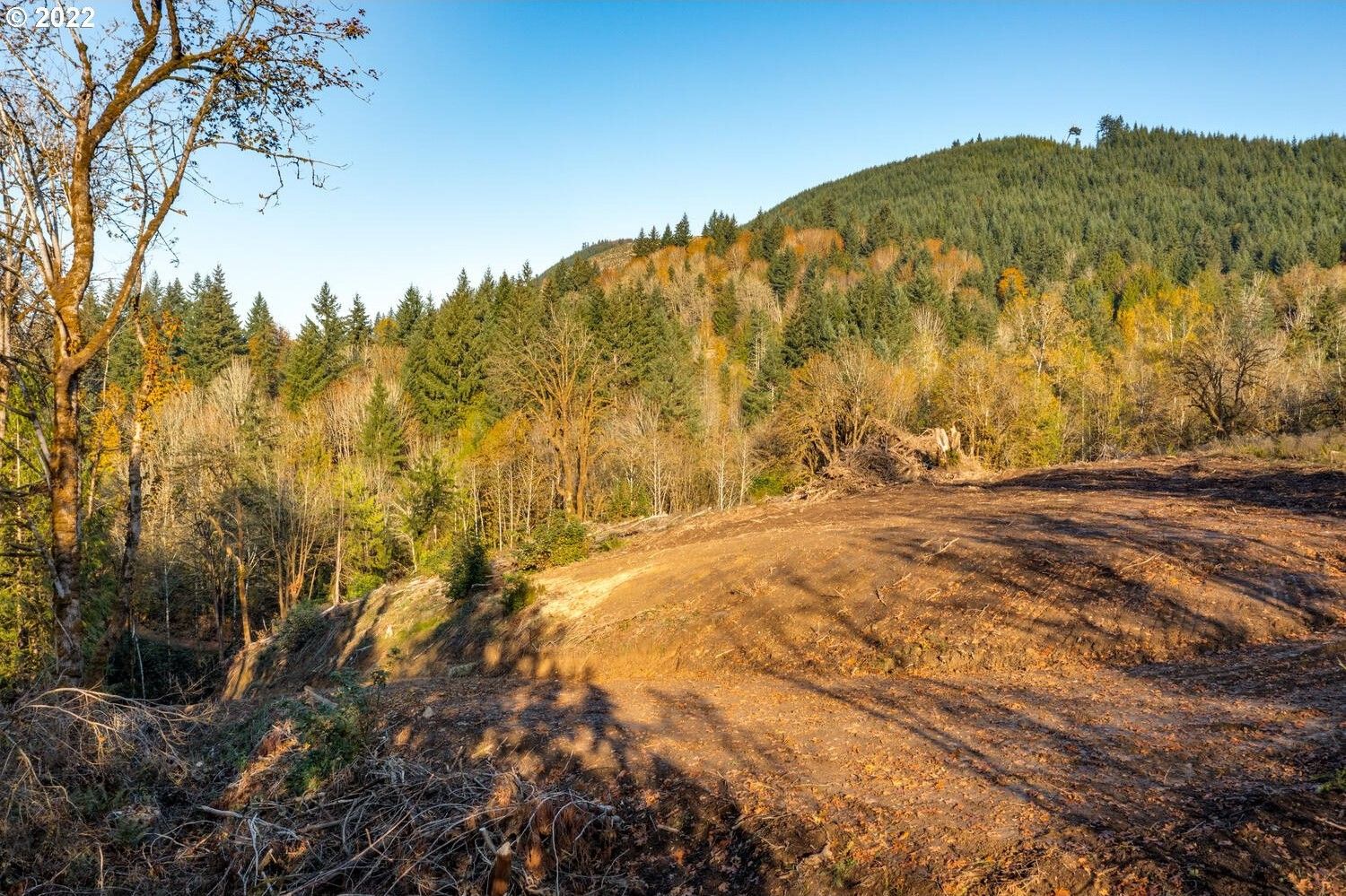 5 acres in Cowlitz County, Washington