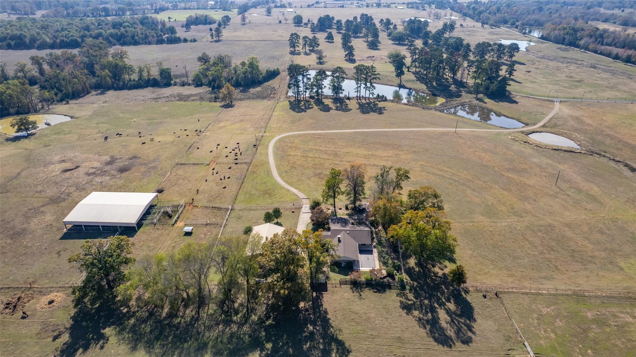 883 County Road 3309, Omaha, TX 75571 | MLS: 20210903 | Land.com