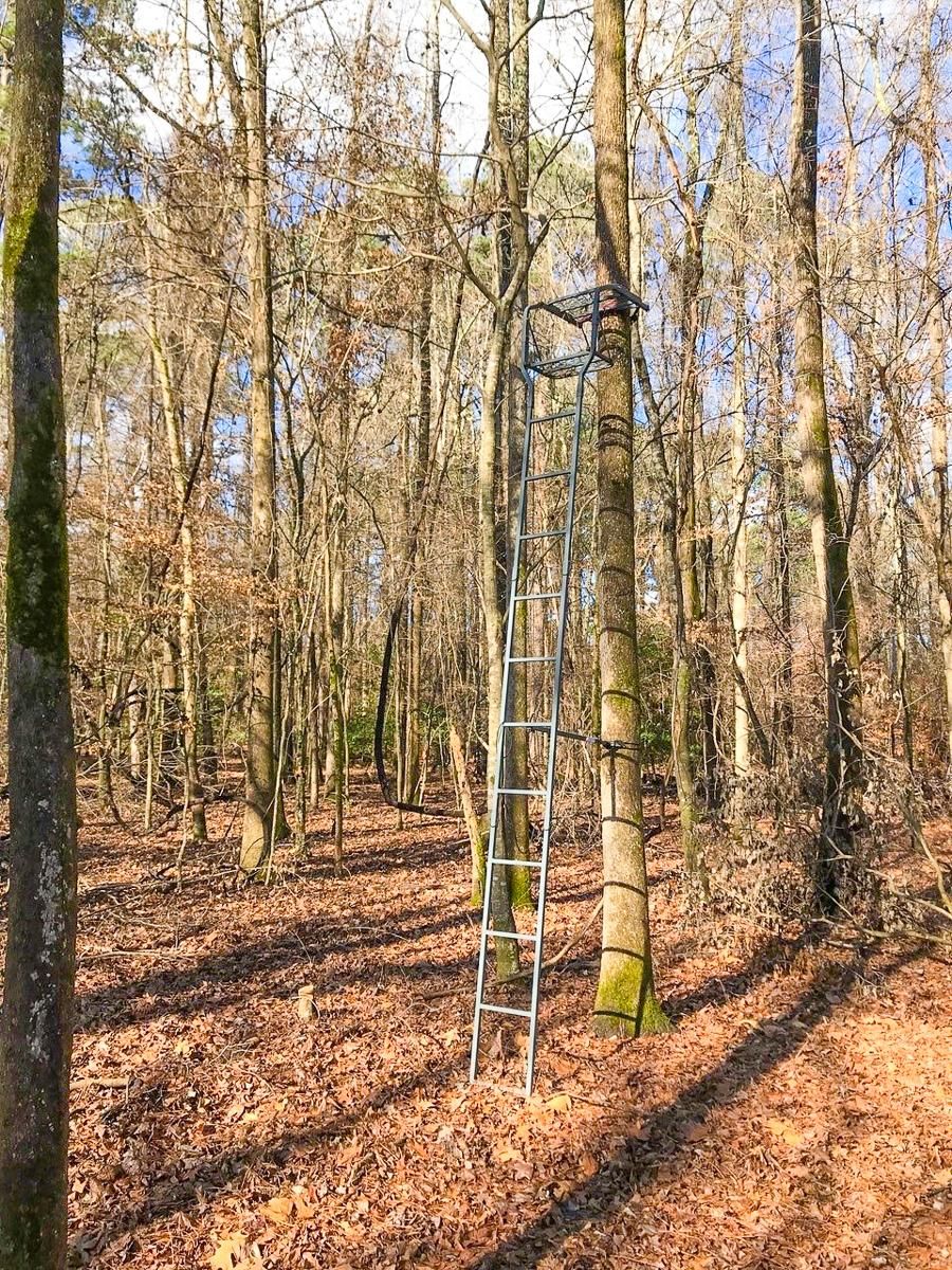 County Road 1651, Avinger, TX 75630 | Land.com