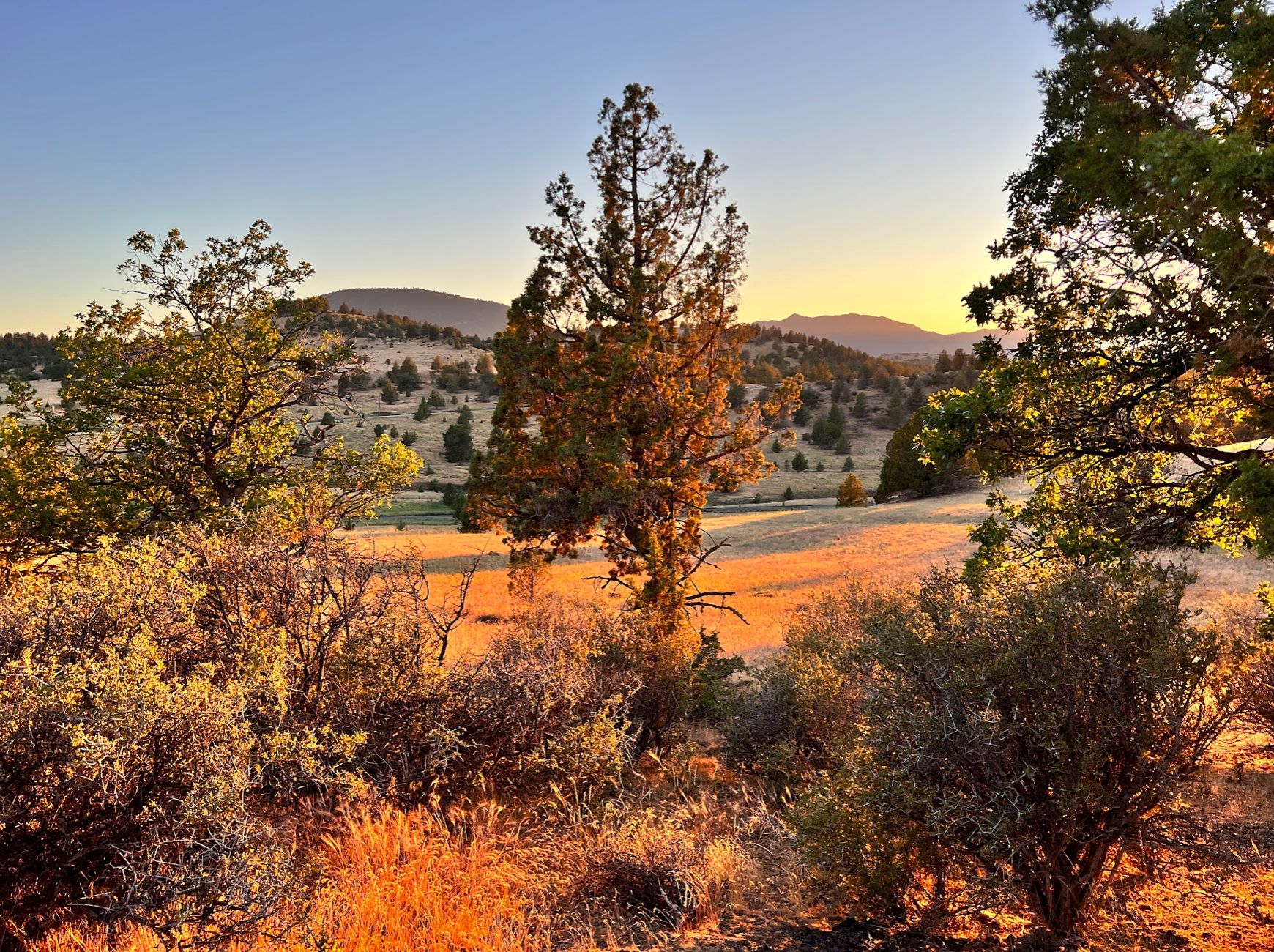 2.5 acres in Siskiyou County, California