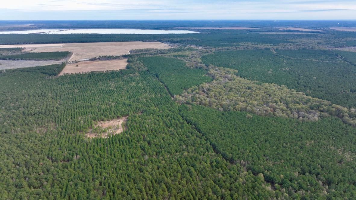 Prairie Debutte Road, Bastrop, LA 71220 | Land.com