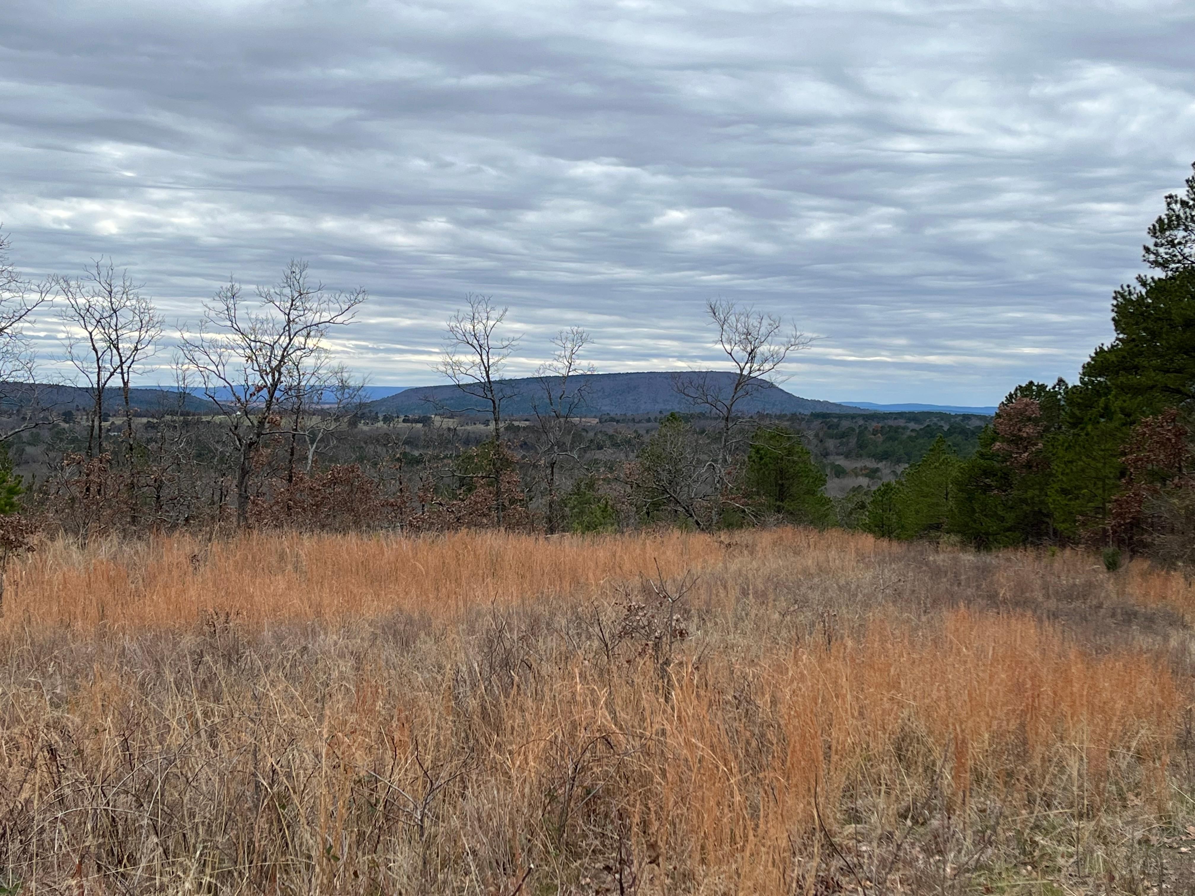 5 acres in Red Oak, OK, 74563 | MLS: 2242883 | Land.com