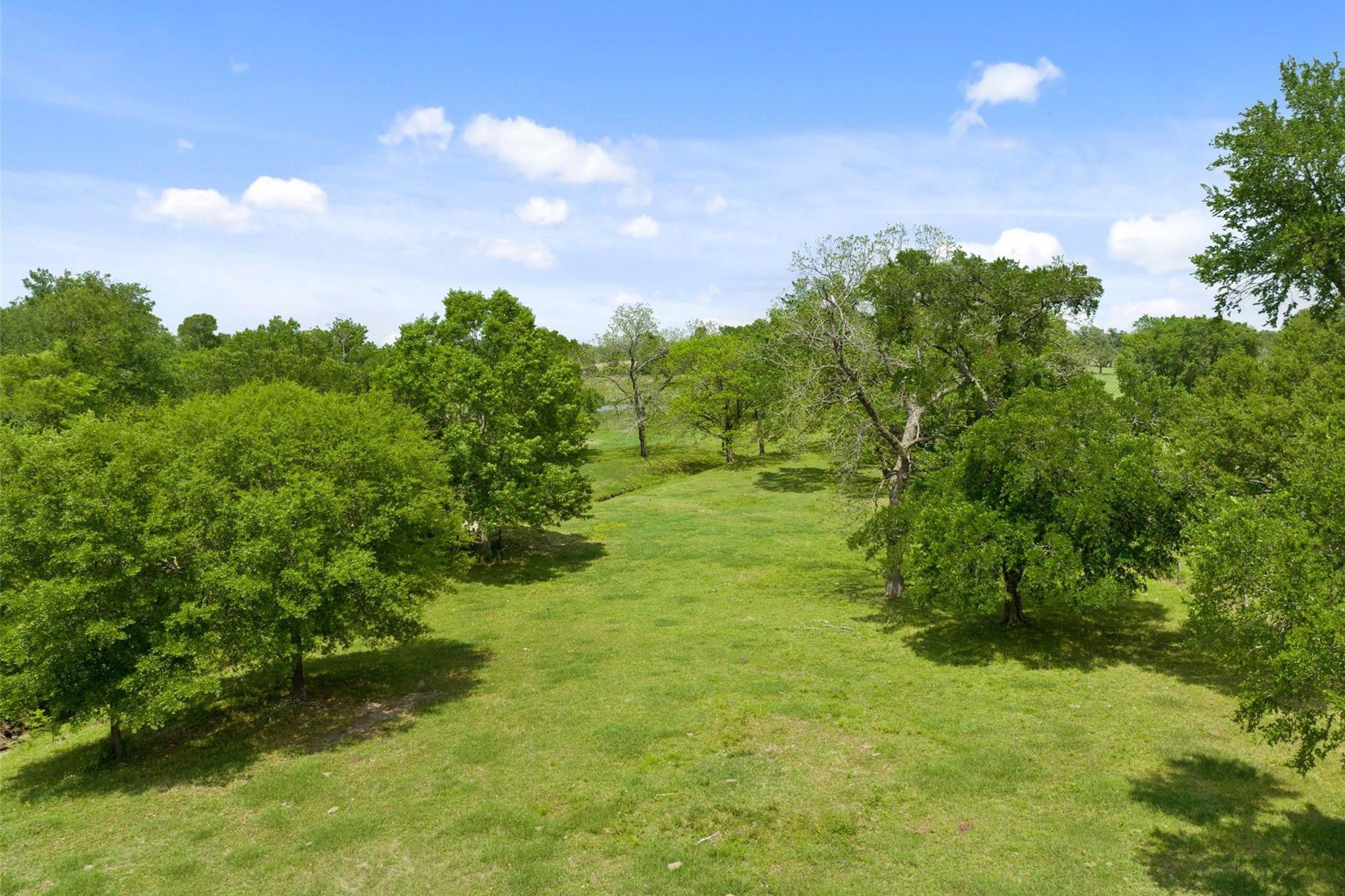 34.92 acres in Grimes County, Texas