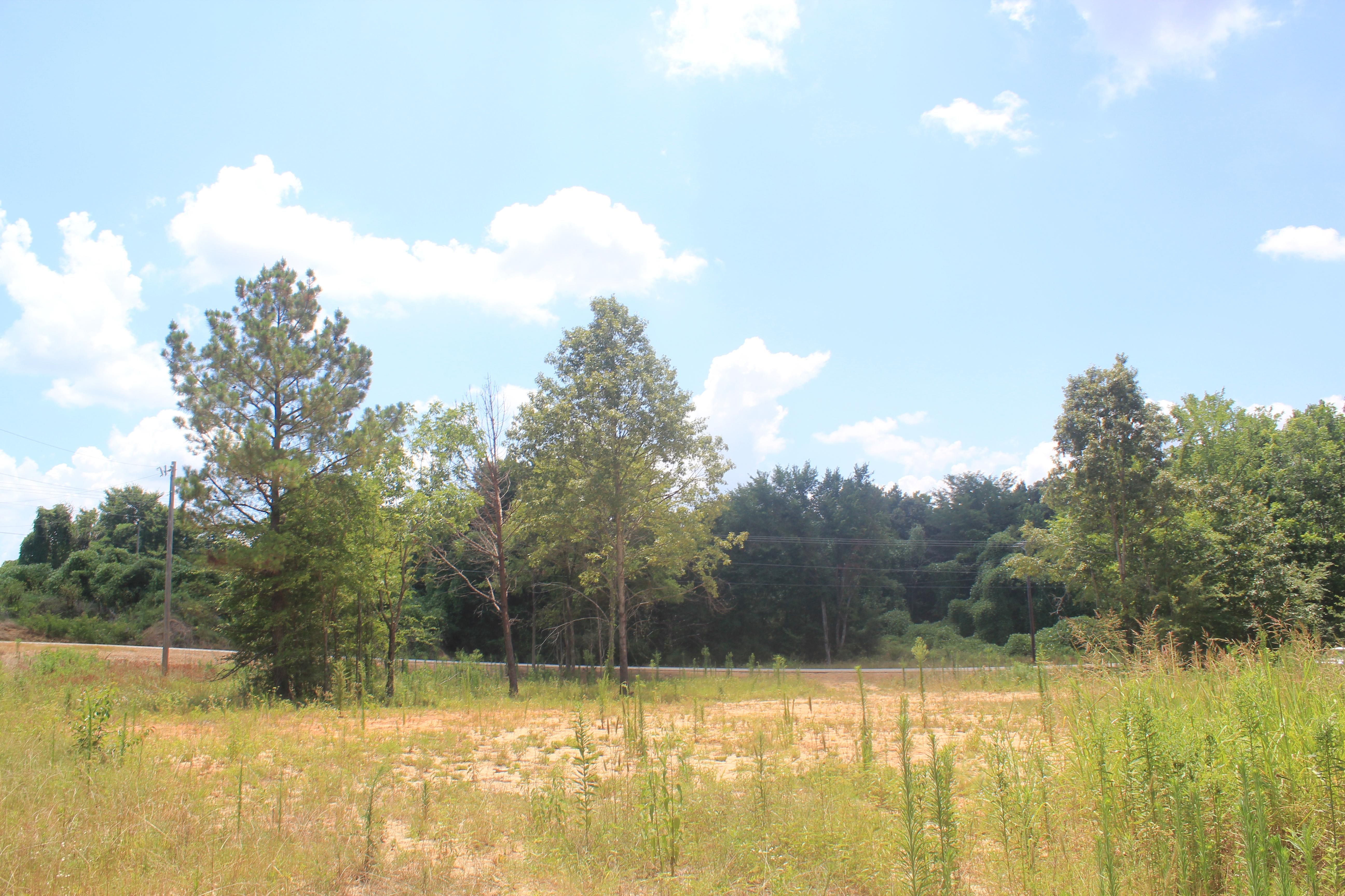 Red Banks Road South, Byhalia, MS 38611 | MLS: 4036319 | Land.com