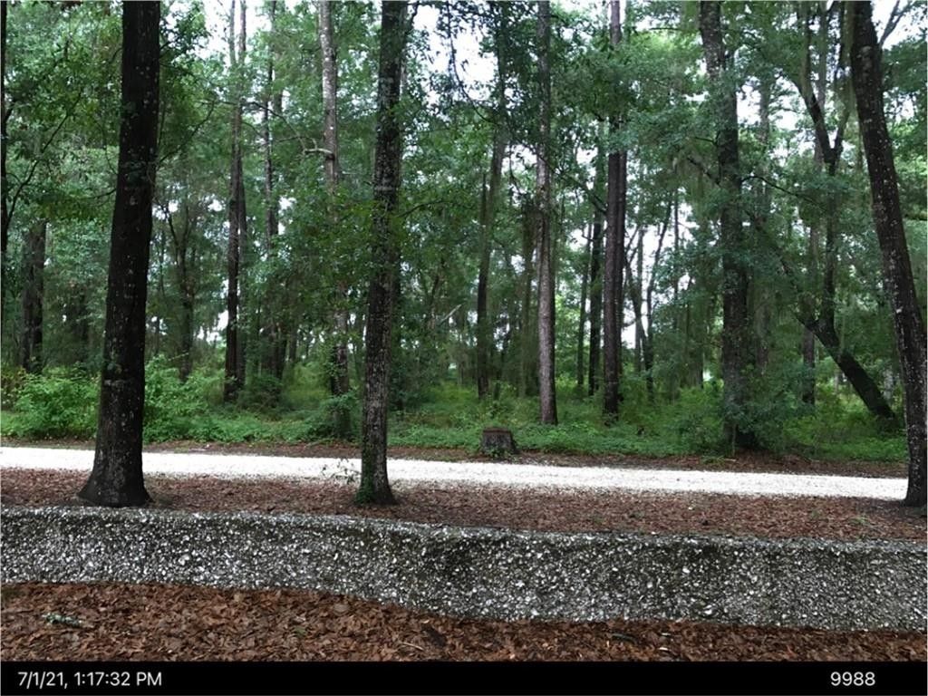 5.15 acres in McIntosh County, Georgia