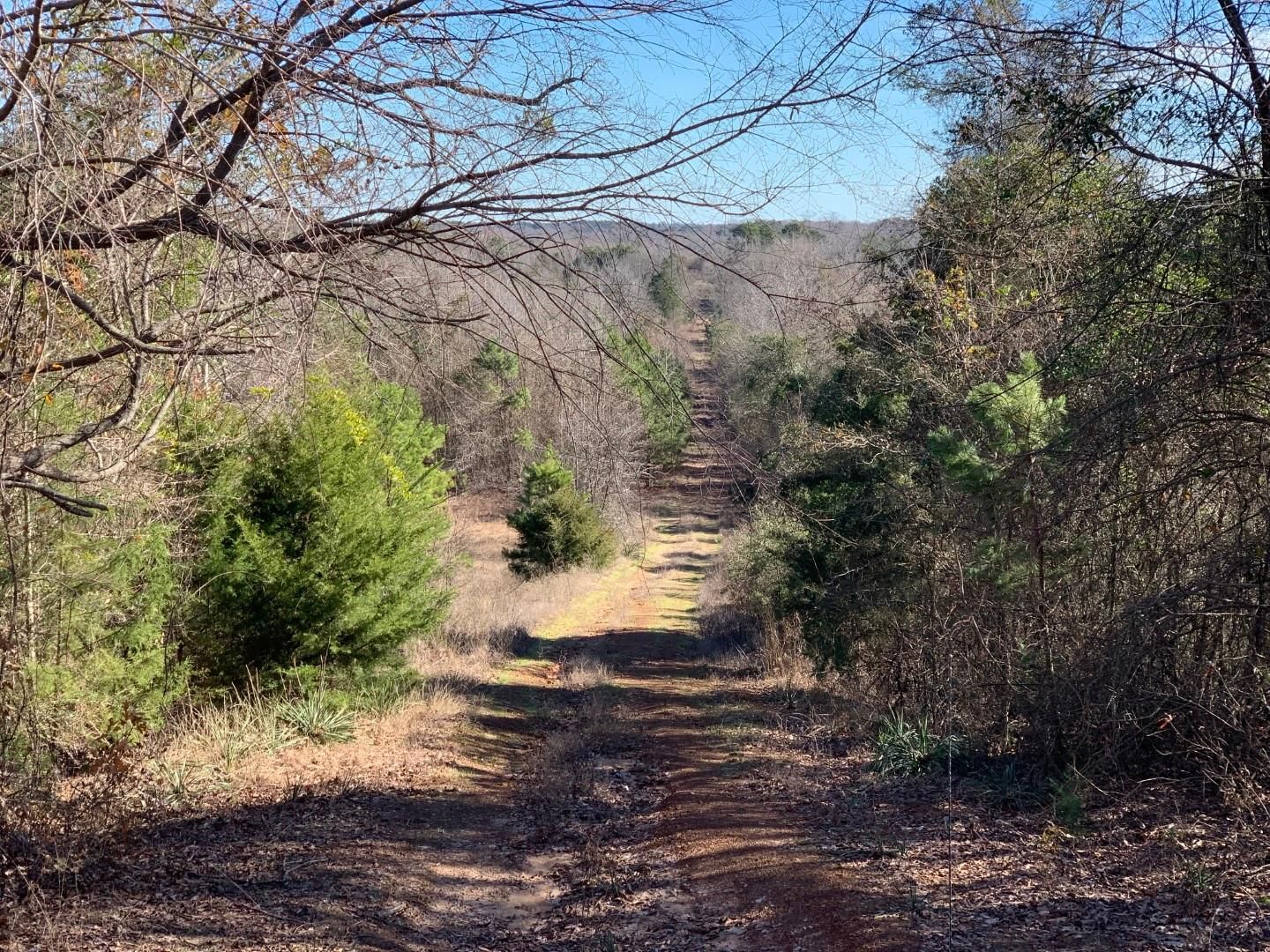 124 acres in Marietta, TX, 75568 | Land.com