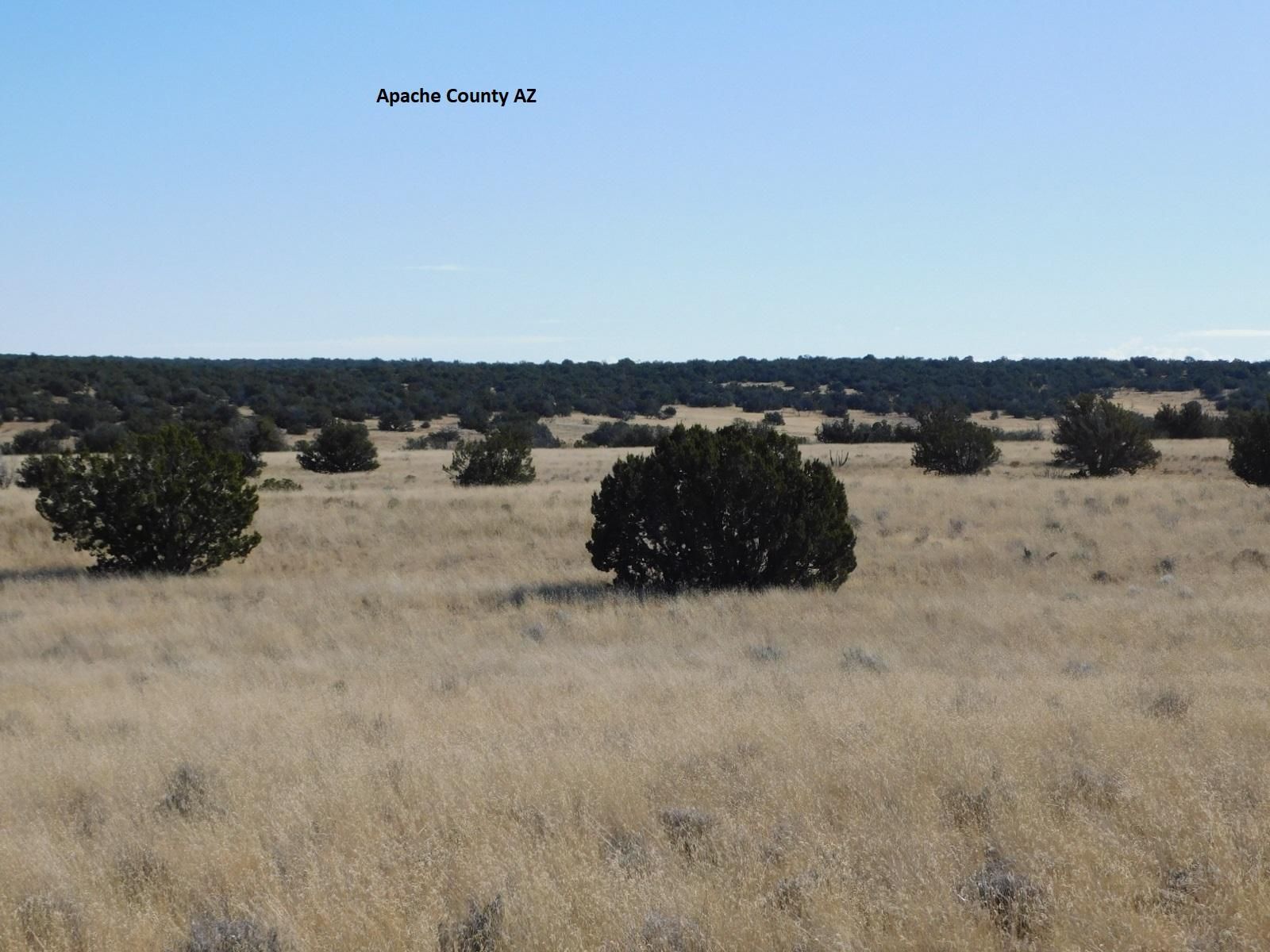 10 acres in Apache County, Arizona