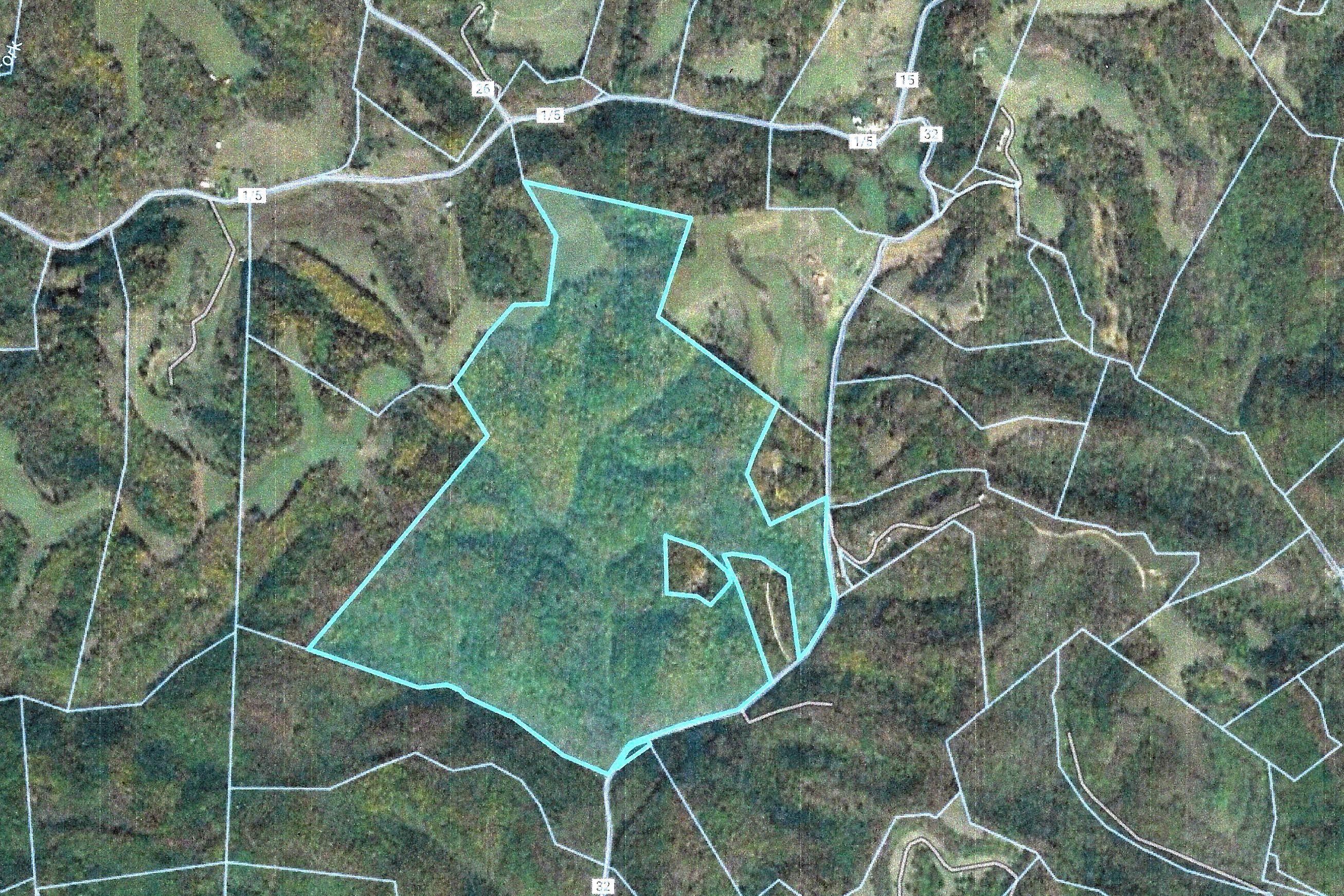 660 Trace Fork, Gandeeville, WV 25243 | MLS: 4424229 | Land.com