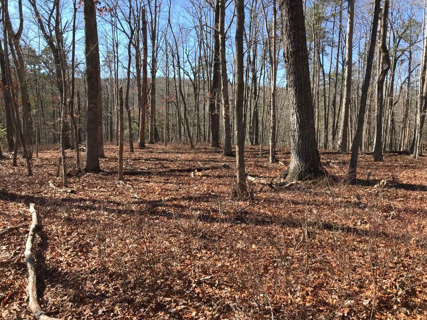 54 Bluff View Dr. 54, Dunlap, TN 37327 | MLS: 1367589 | Land.com