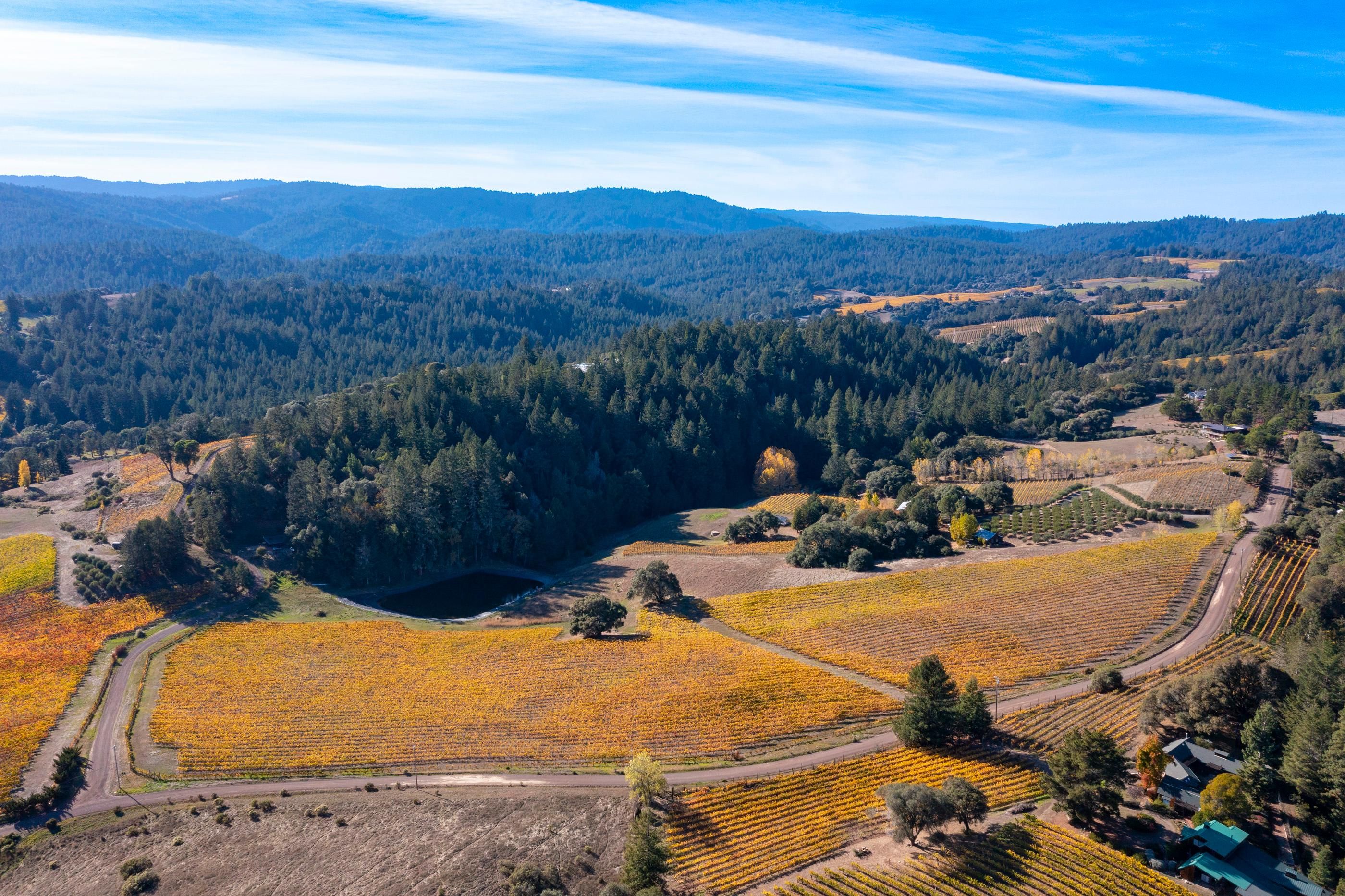 2160 Guntly Road, Philo, CA 95466 | MLS: 322105318 | Land.com
