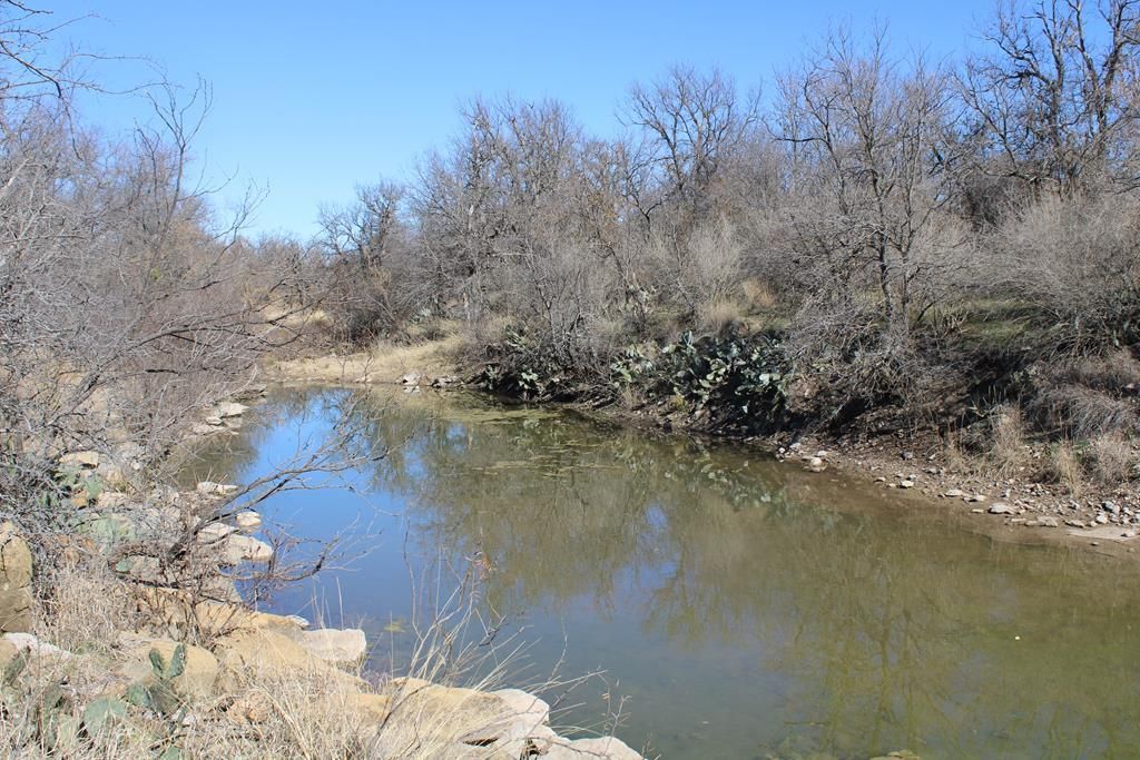FM 2134, Voss, TX 76888 | MLS: 111752 | Land.com