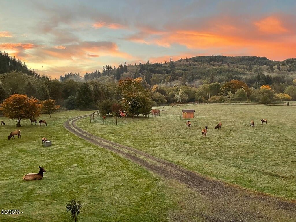 27 acres in Lincoln County, Oregon