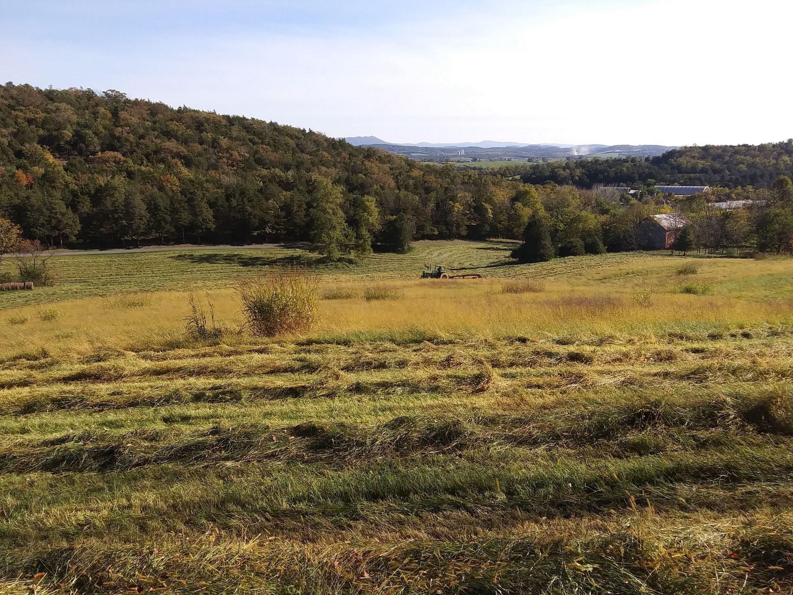 Wengers Mill Road, Lot#WP001, Linville, VA 22834 | Land.com