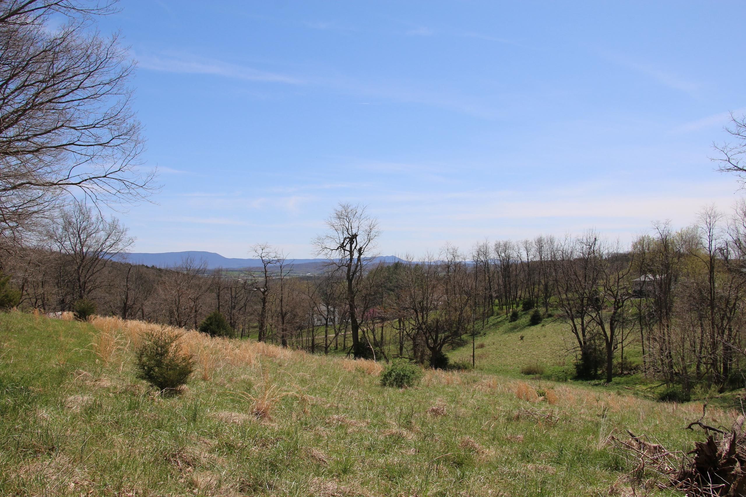Wengers Mill Road, LOT#WP002, Linville, VA 22834 | Land.com