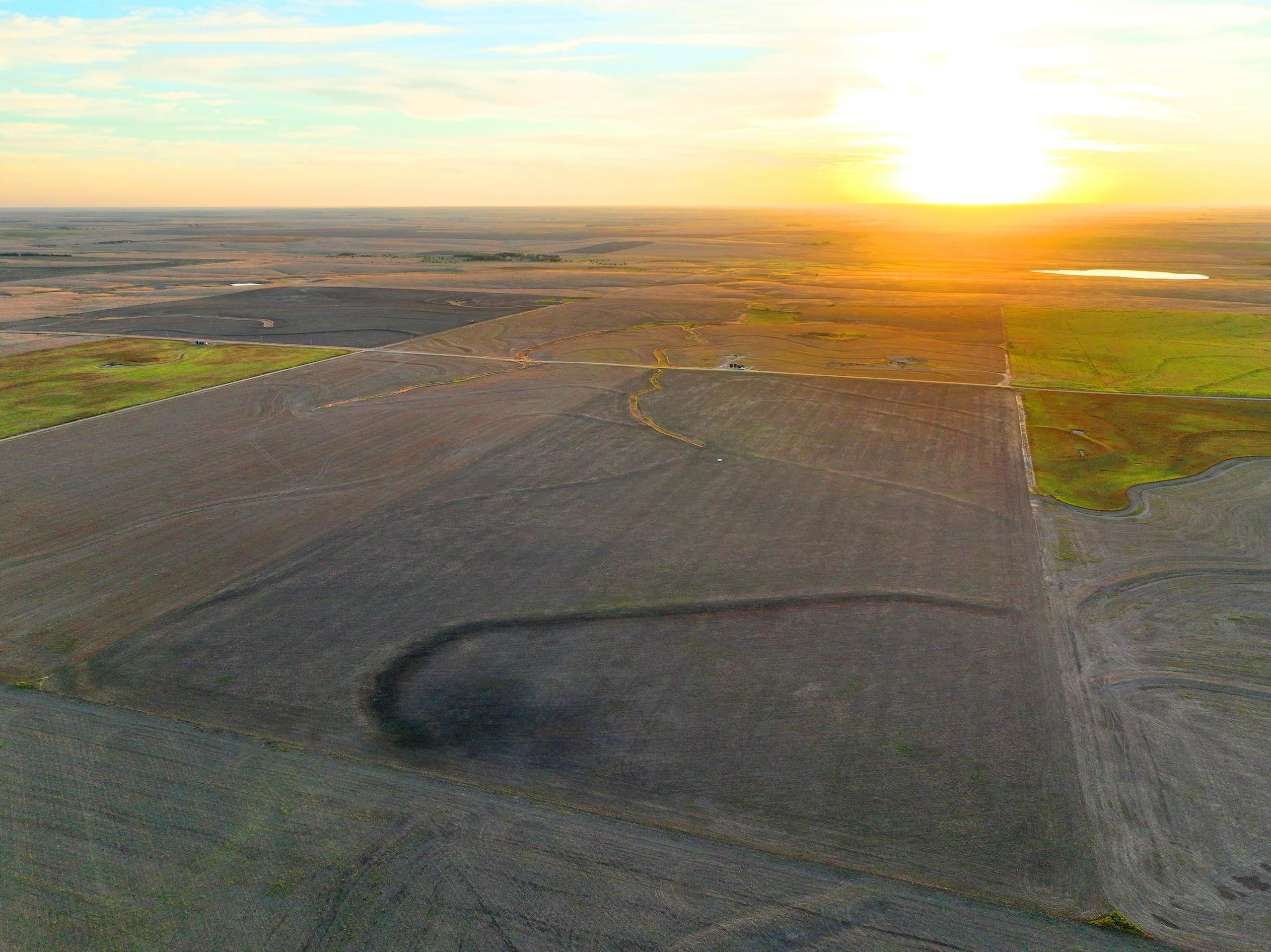 80 acres in Ness County, Kansas