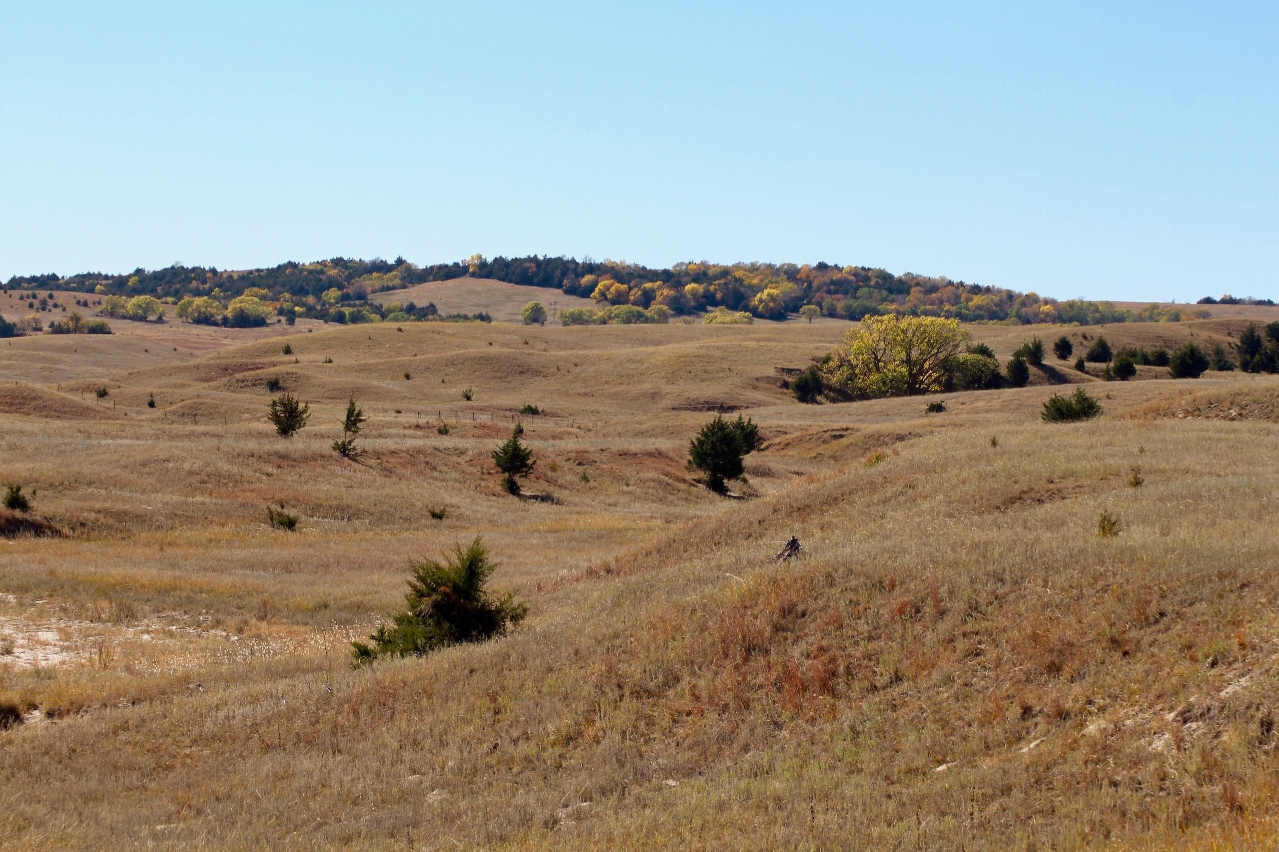 501 acres in Custer County, Nebraska