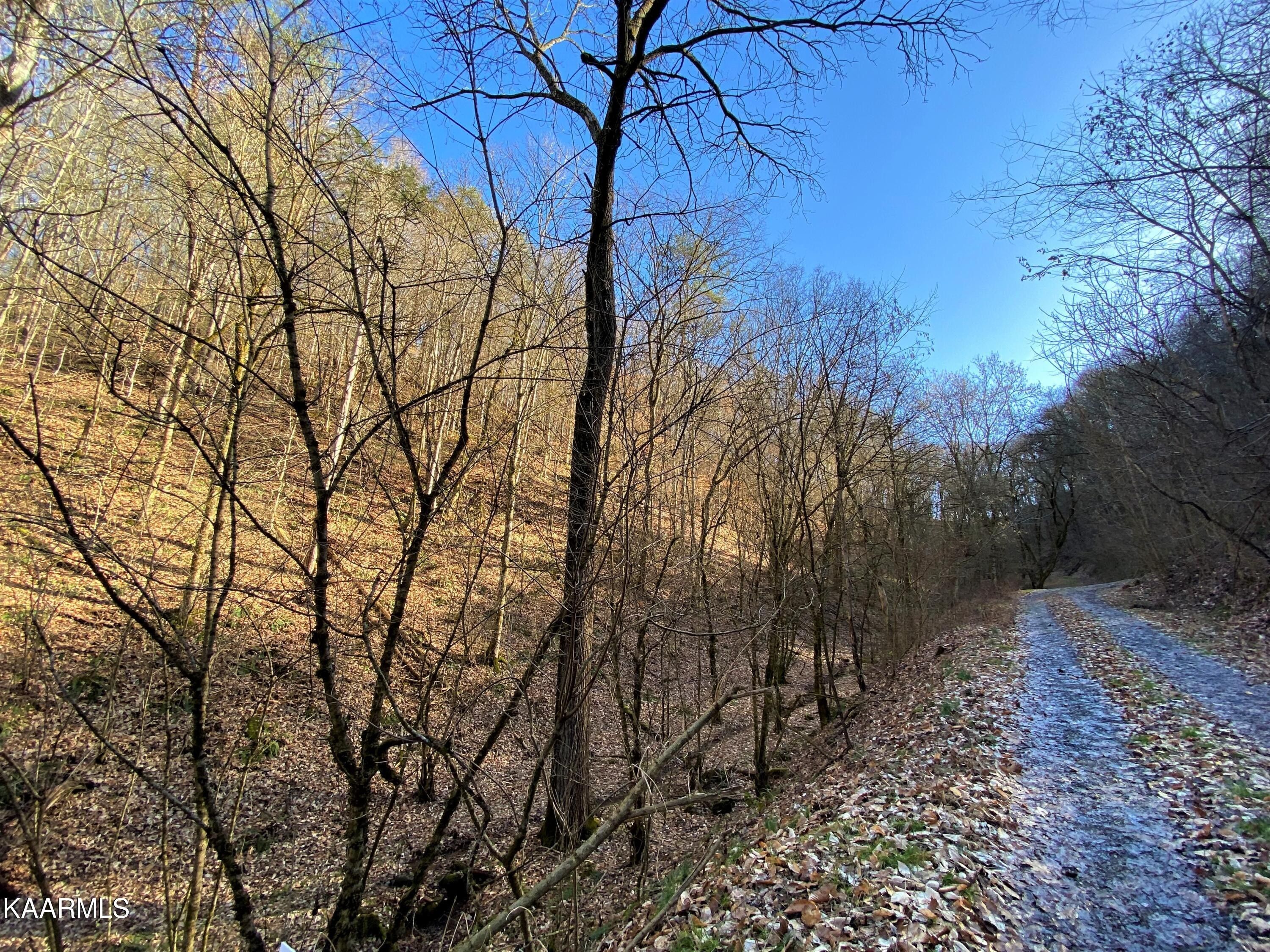 5.73 acres in Cocke County, Tennessee