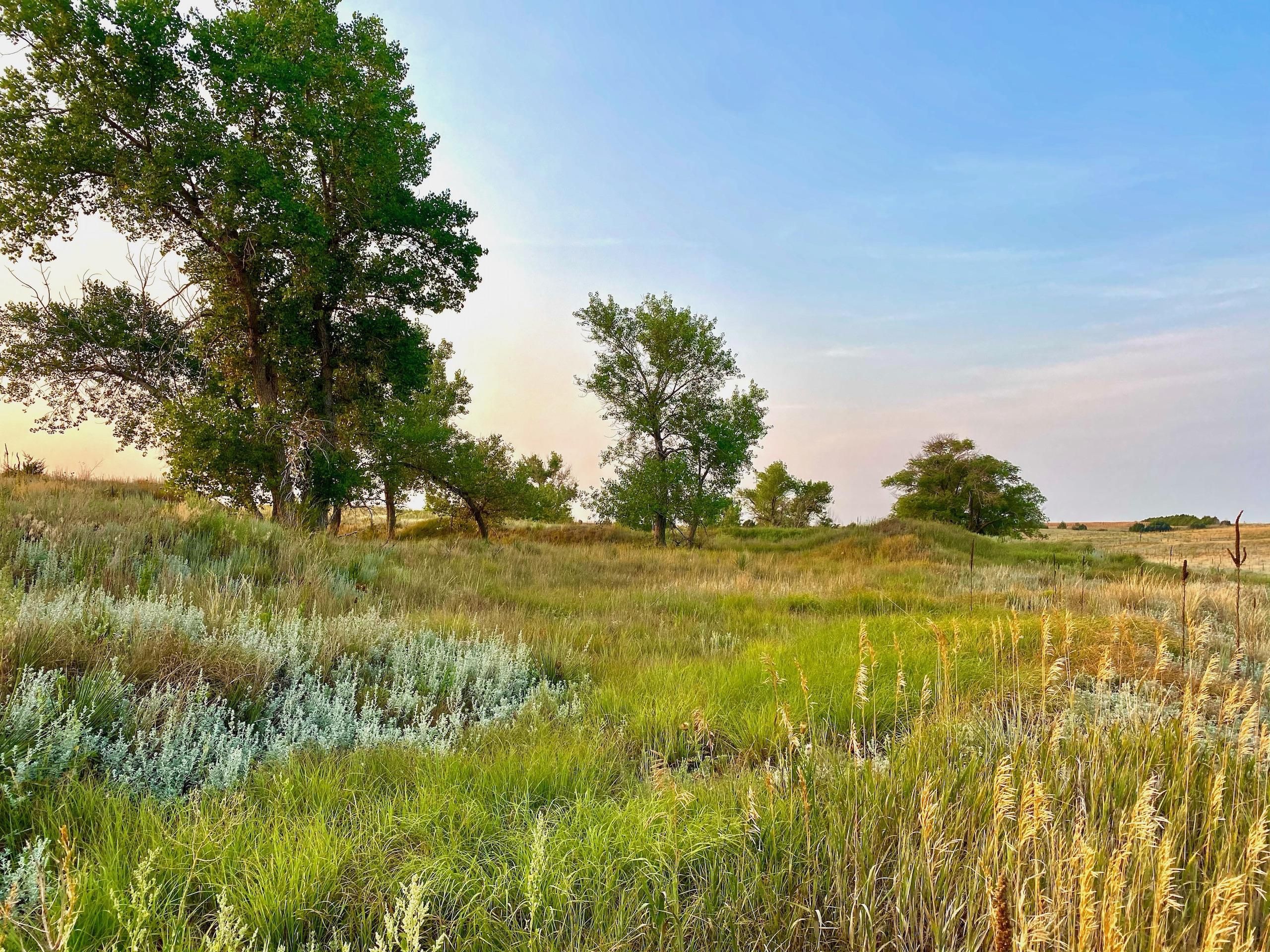 160 acres in Perkins County, Nebraska