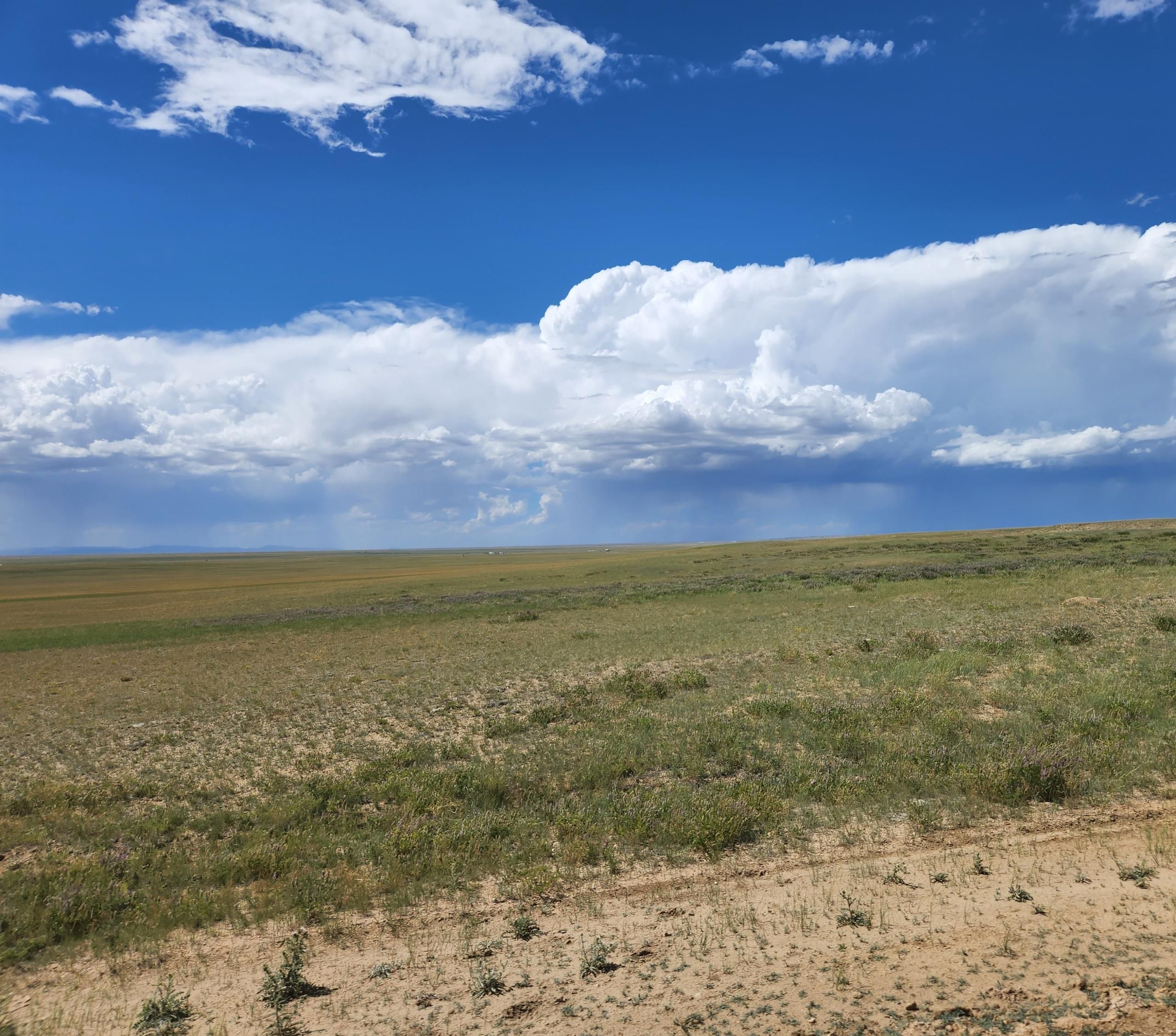 35.1 acres in Albany County, Wyoming
