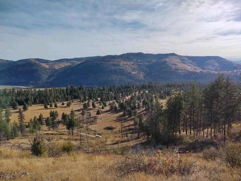 10.05 acres in Ferry County, Washington